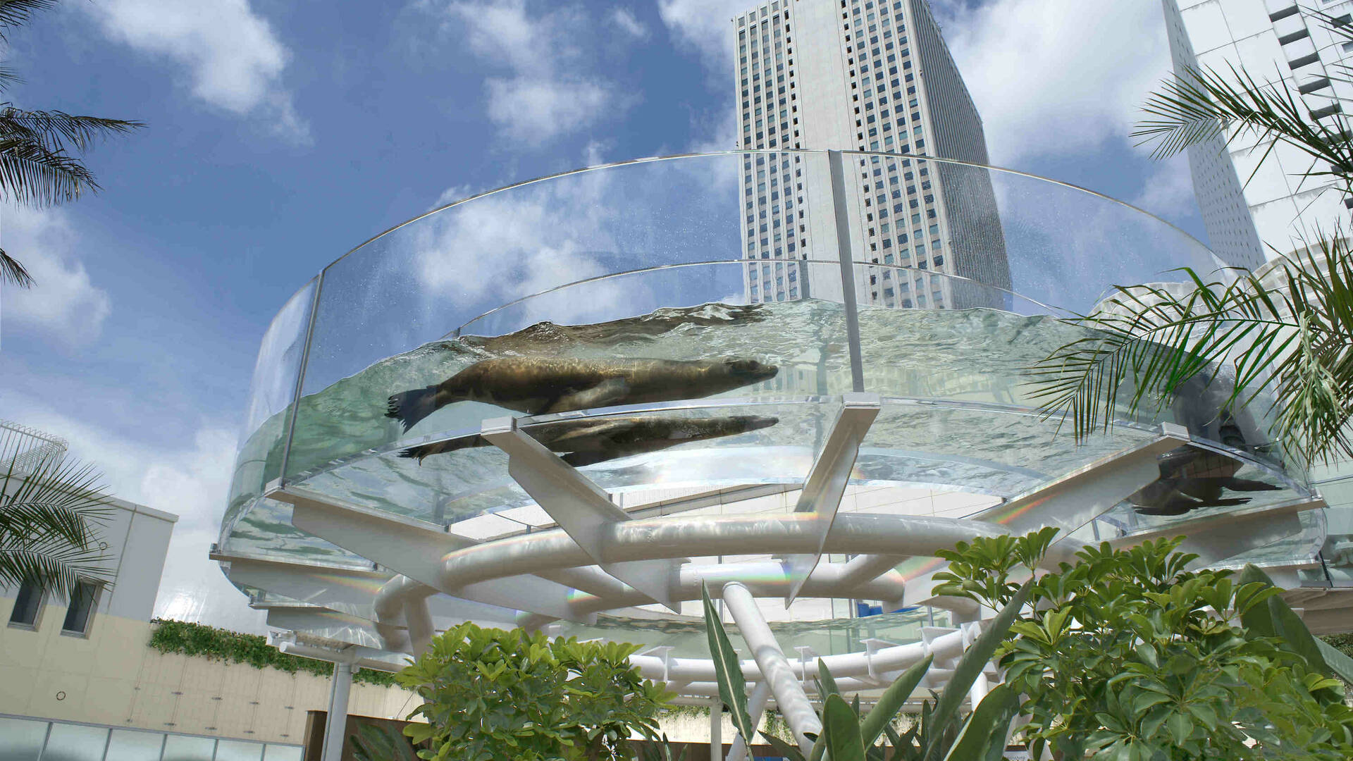 Sunshine Aquarium/Sky Circus Sunshine 60 Observatory Instagram ...