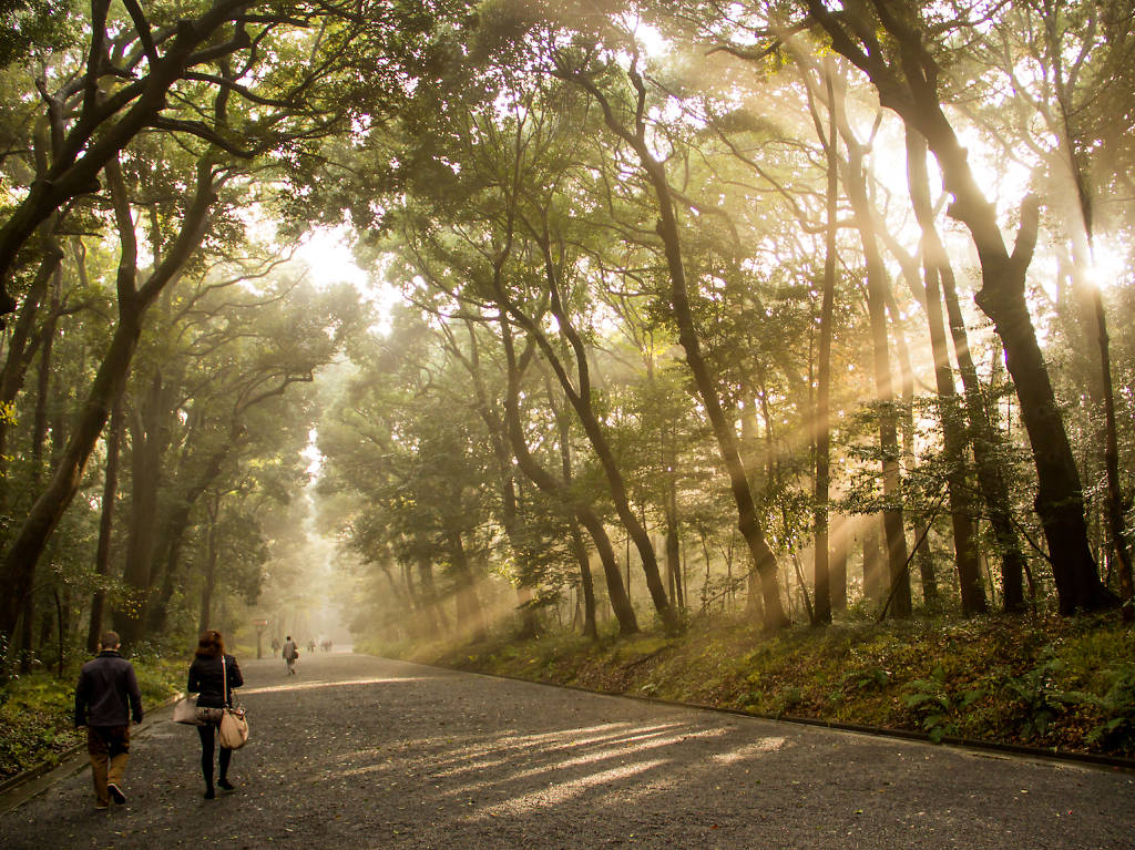 8 best nature escapes in and around Tokyo