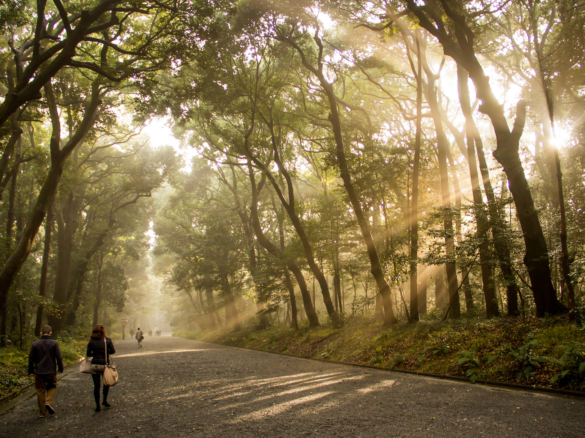 The most scenic jogging routes in Tokyo | Time Out Tokyo