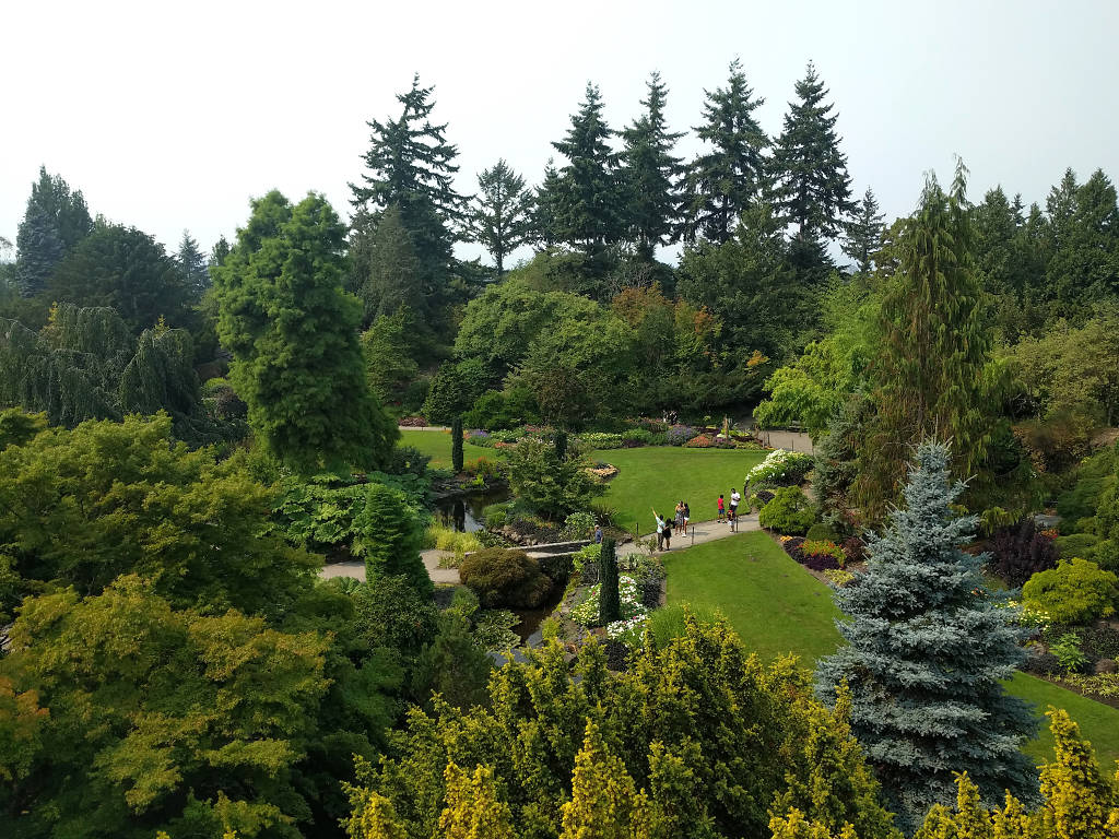 7 Best Parks in Vancouver for Relaxation and Recreation