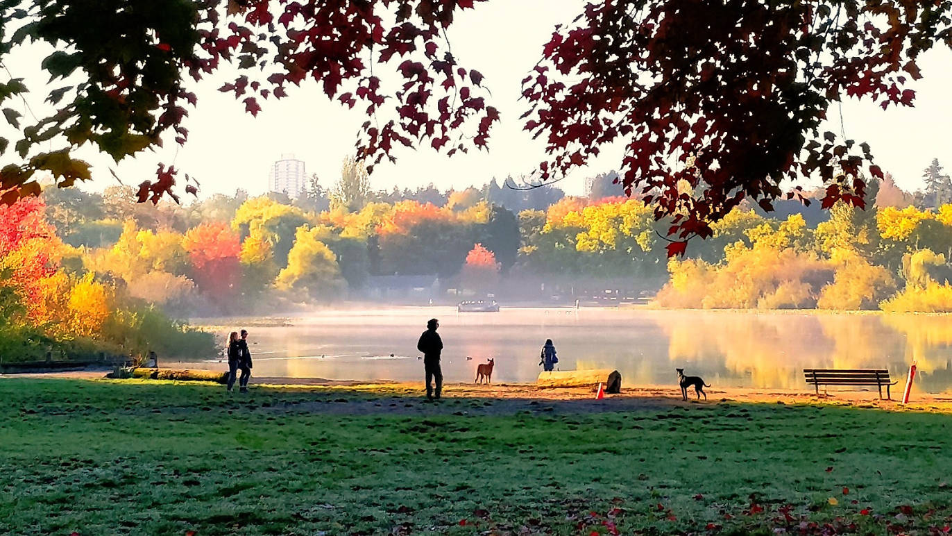 7 Best Parks in Vancouver for Relaxation and Recreation
