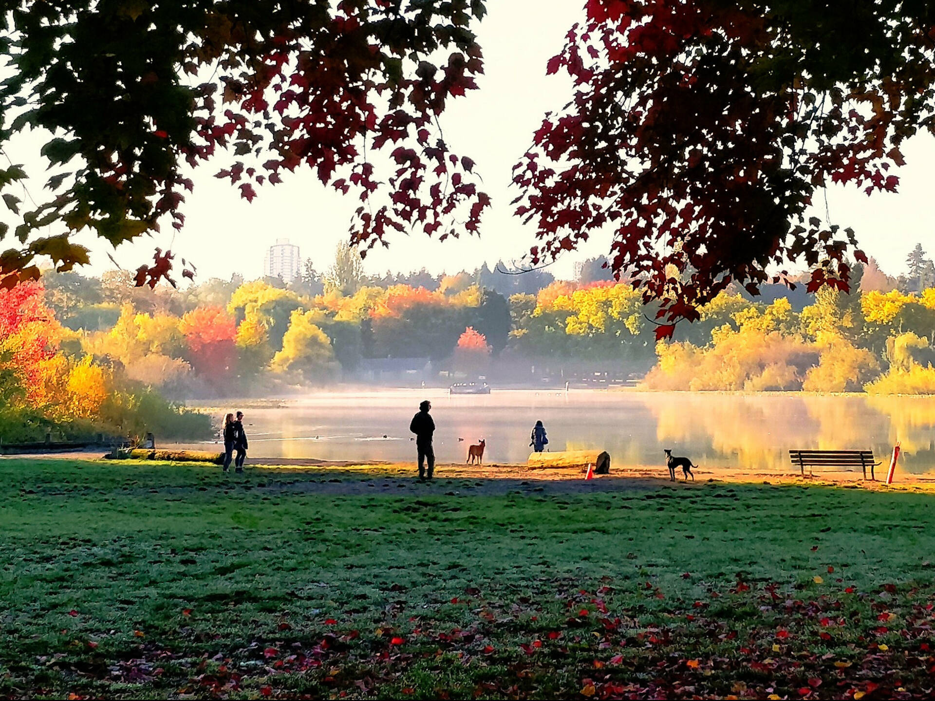 7 Best Parks in Vancouver for Relaxation and Recreation