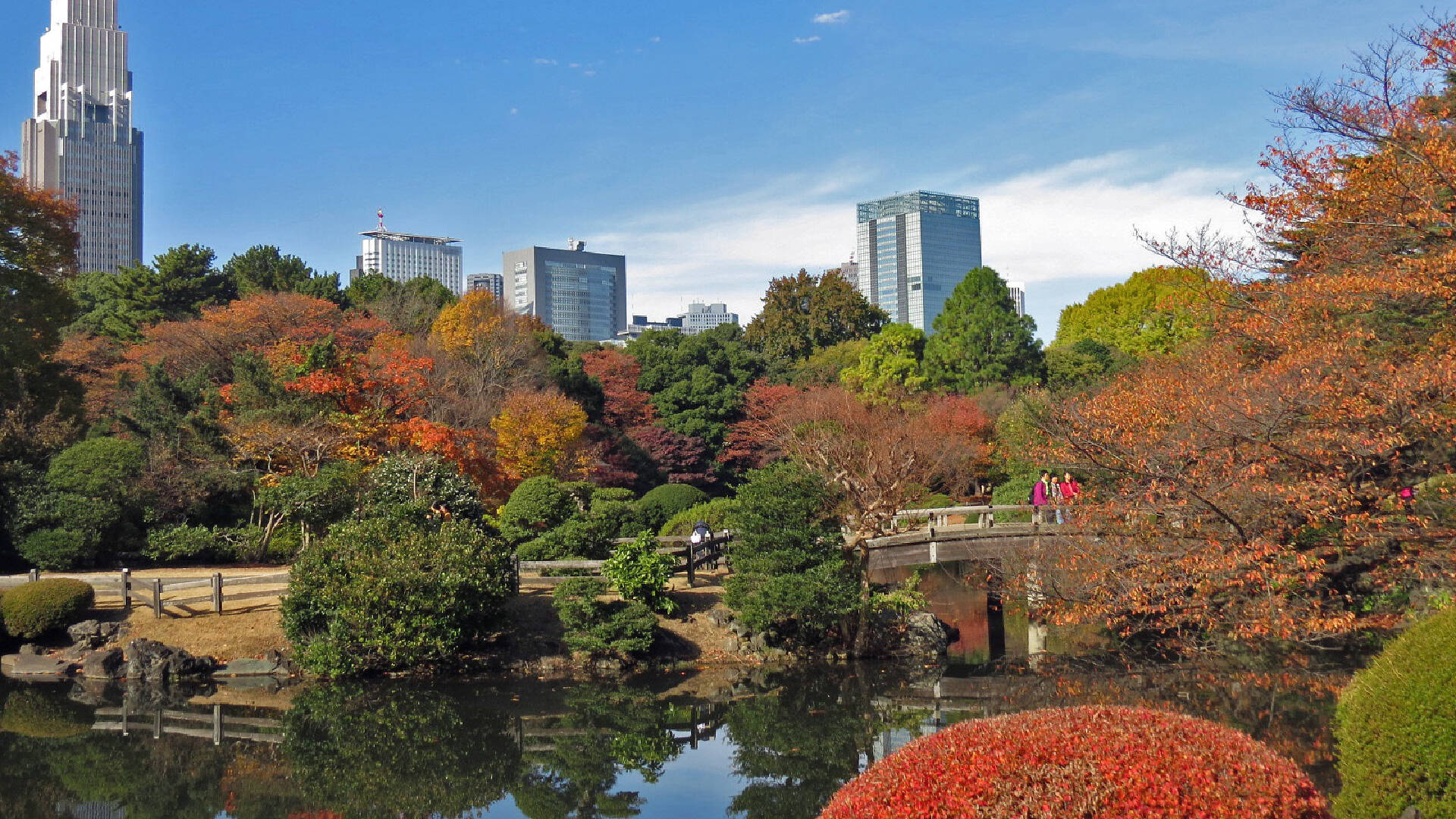 10 best parks, gardens and streets to see the autumn leaves in Tokyo