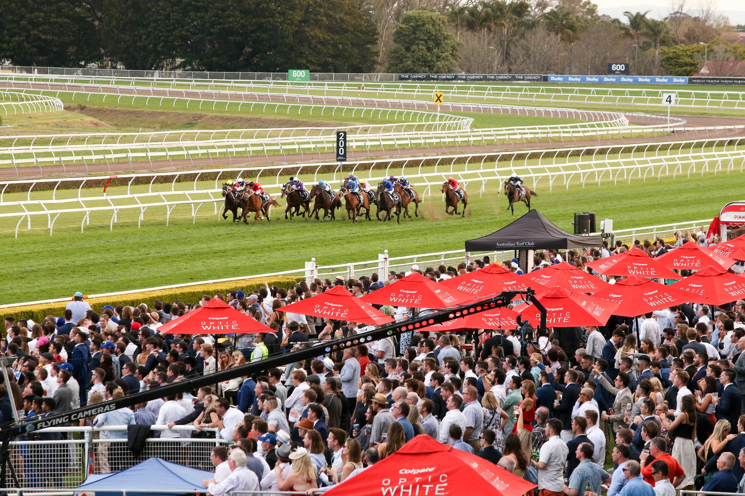 Colgate Optic White Stakes Day | Things to do in Sydney