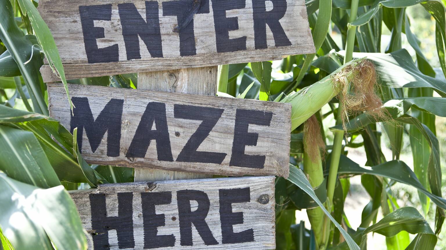 12 Best Corn Mazes Near NYC
