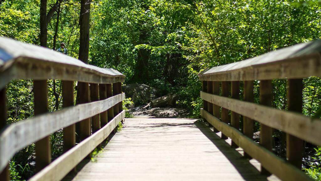 17 Best Parks in Miami for Fresh Air and Outdoor Fun
