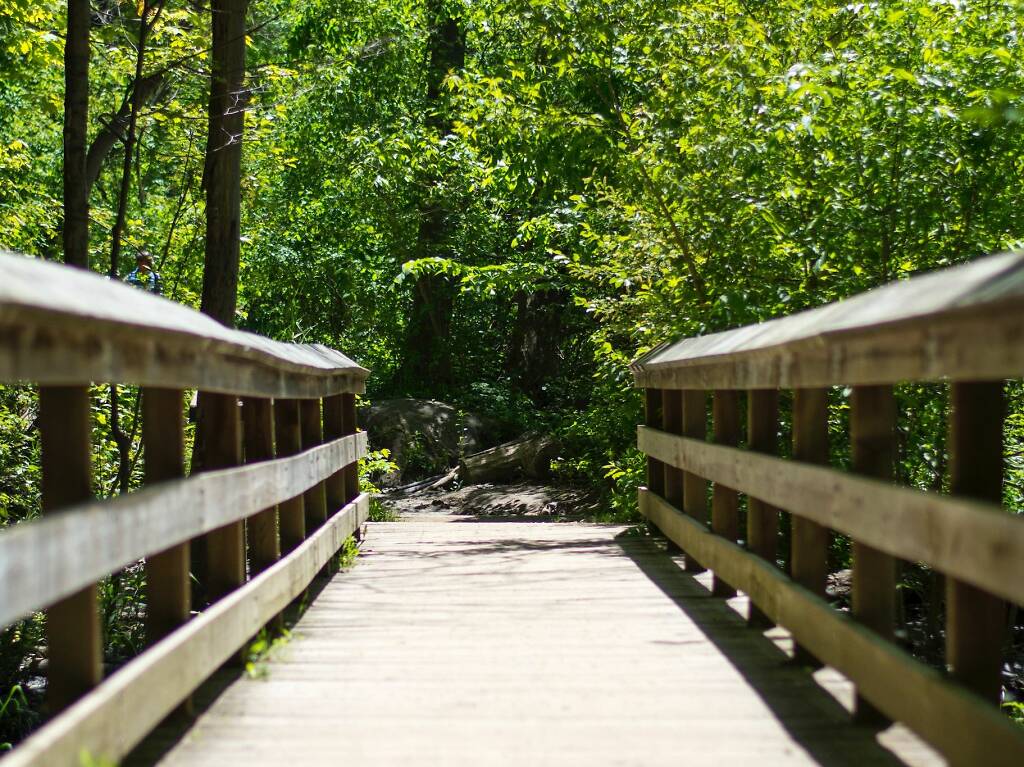 17 Best Parks in Miami for Fresh Air and Outdoor Fun