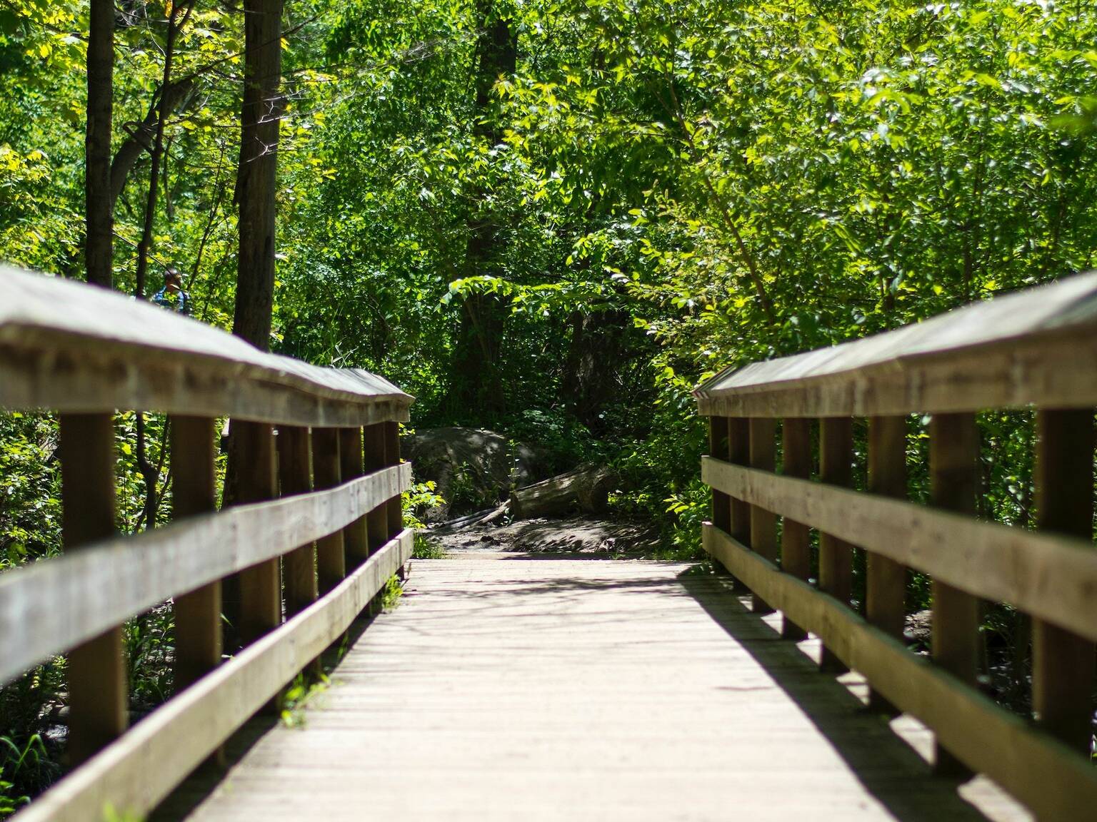 17 Best Parks in Miami for Fresh Air and Outdoor Fun