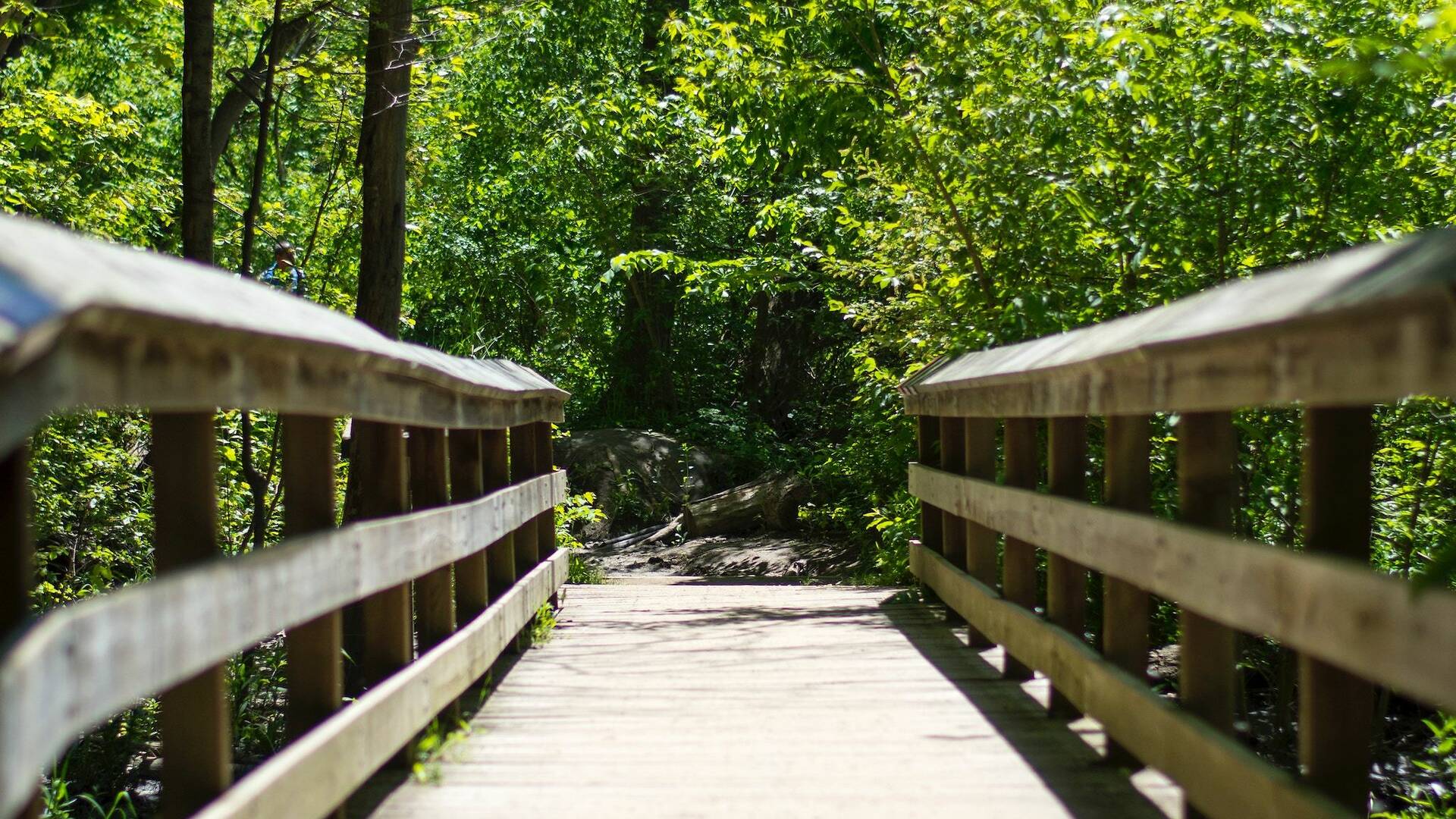 17 Best Things to Do in Coconut Grove Right Now