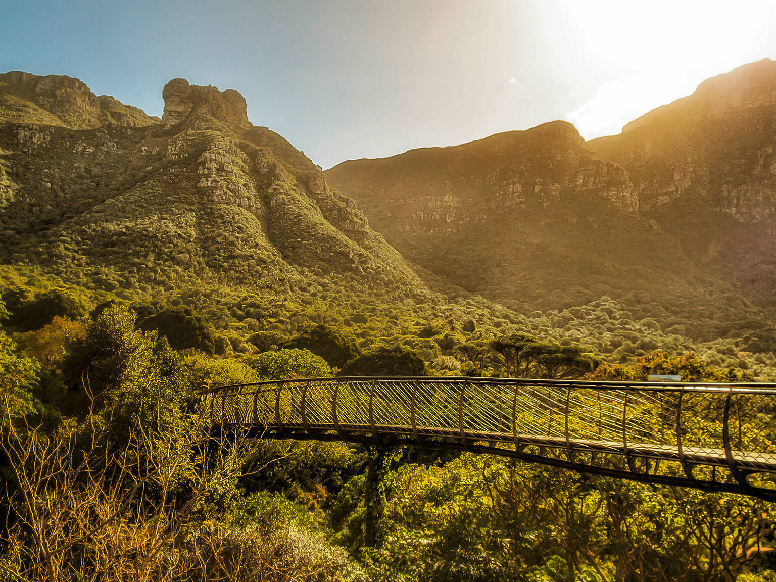 13 Best Botanical Gardens in the World