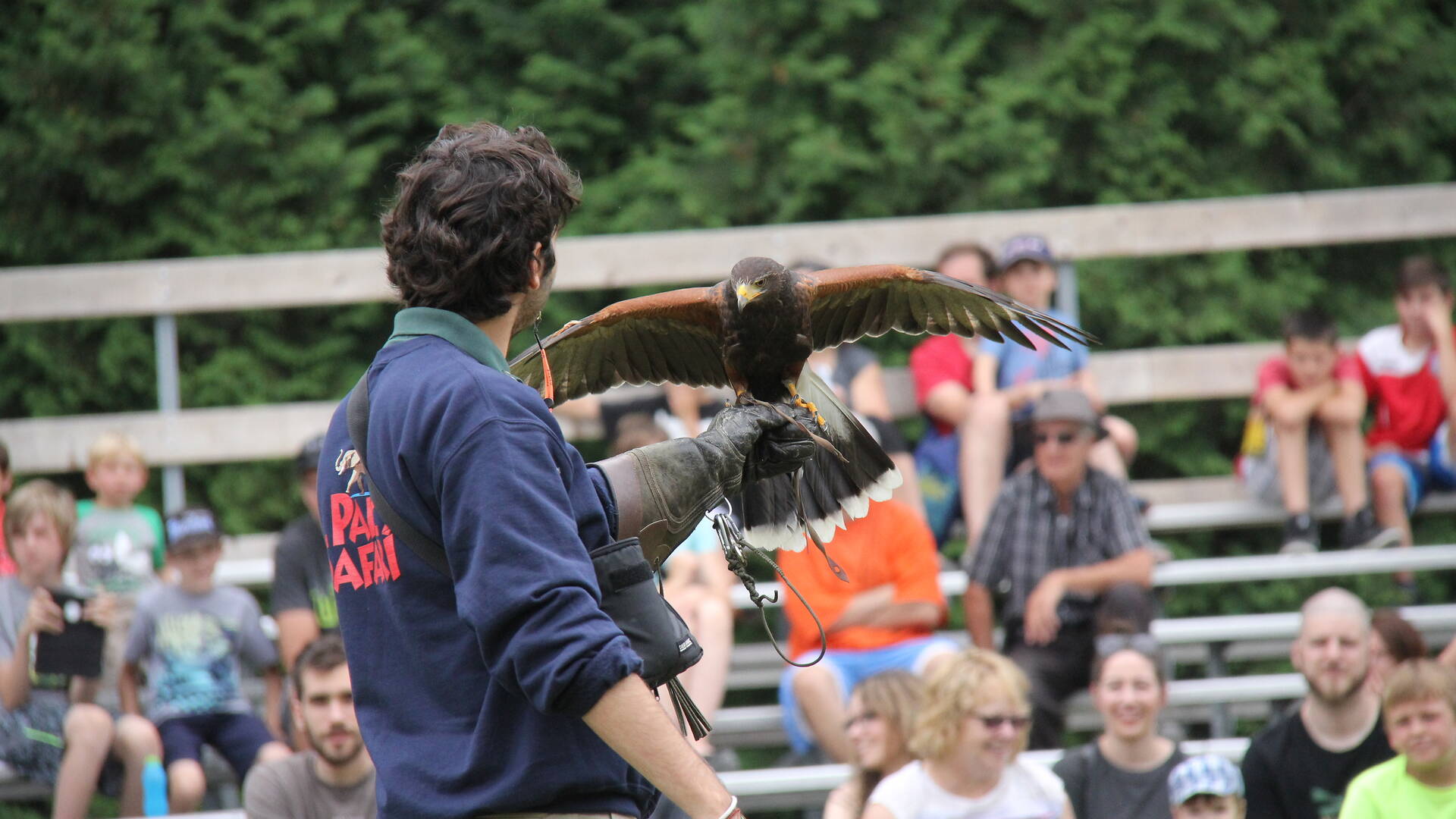 Best Montreal Zoos to Visit and Bring Out Your Wild Side
