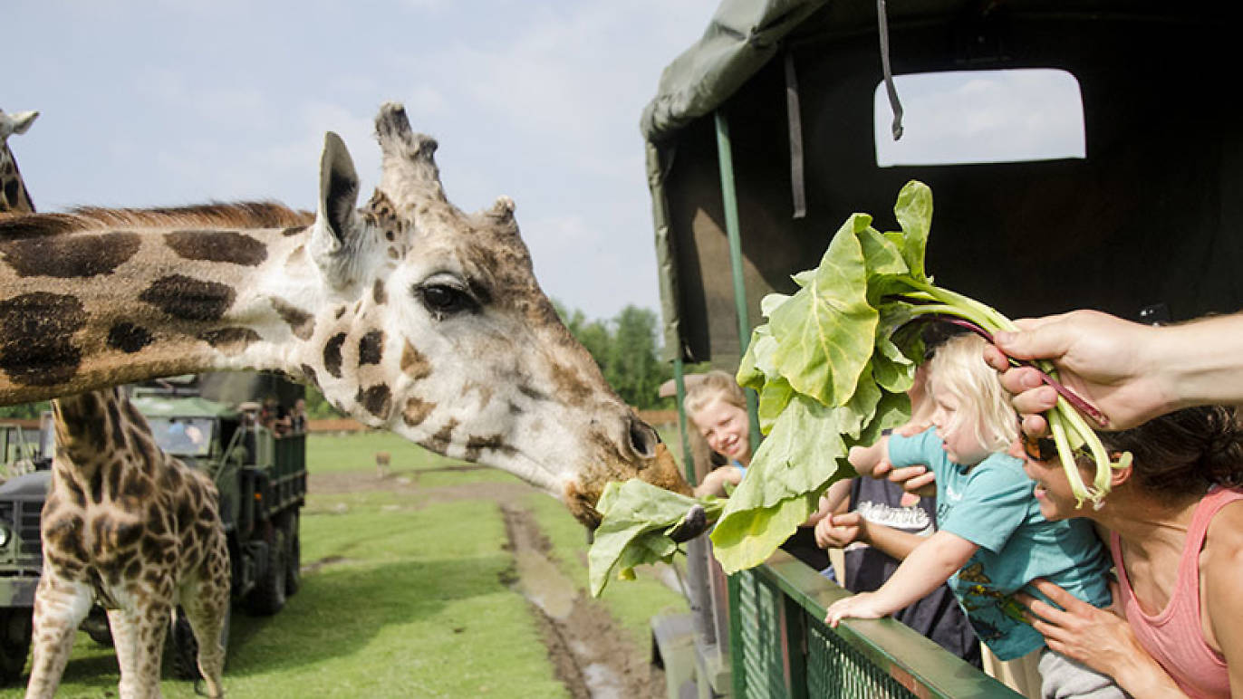 Montreal Zoos to Visit and Bring Out Your Wild Side