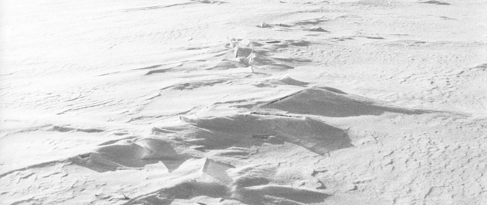 Renate Graf - The photographer’s chronicles: thoughts become images ...