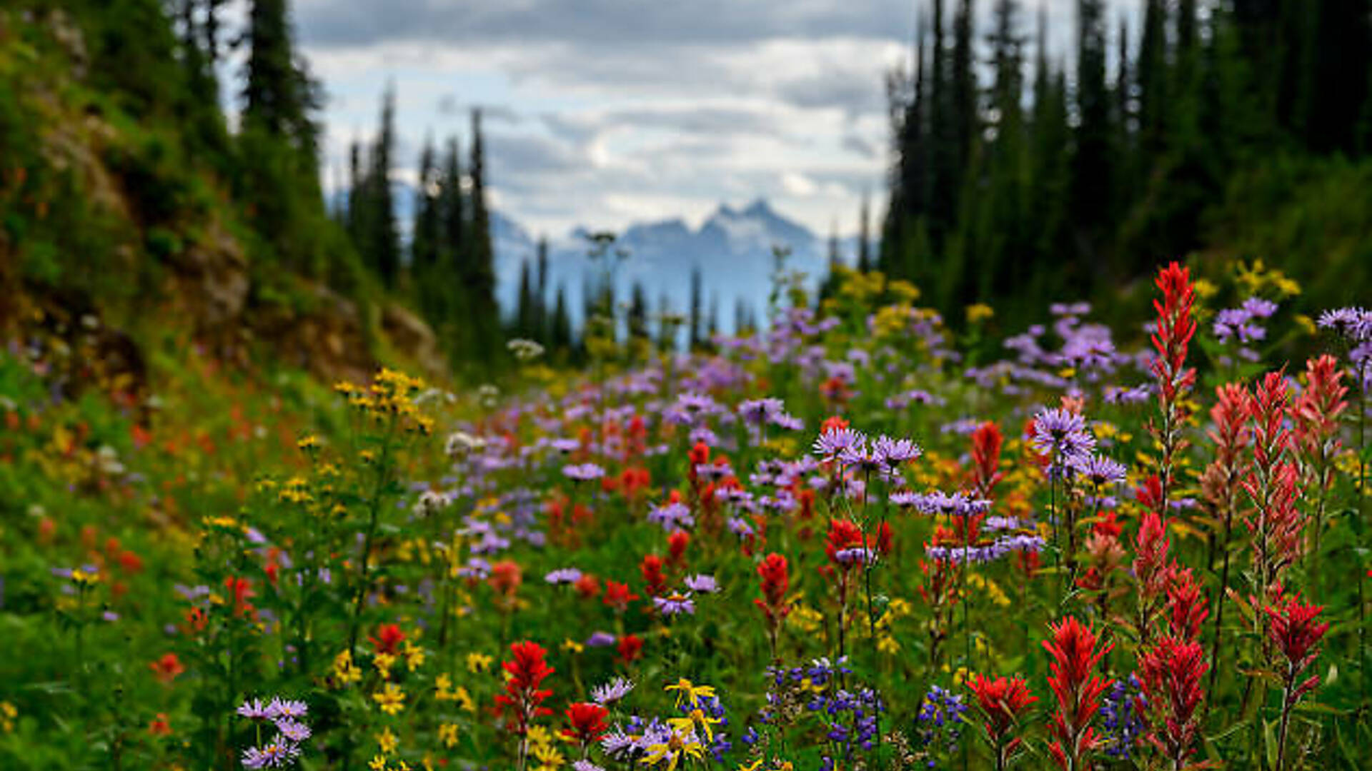 10 unmissable sights on a Western Canada road trip
