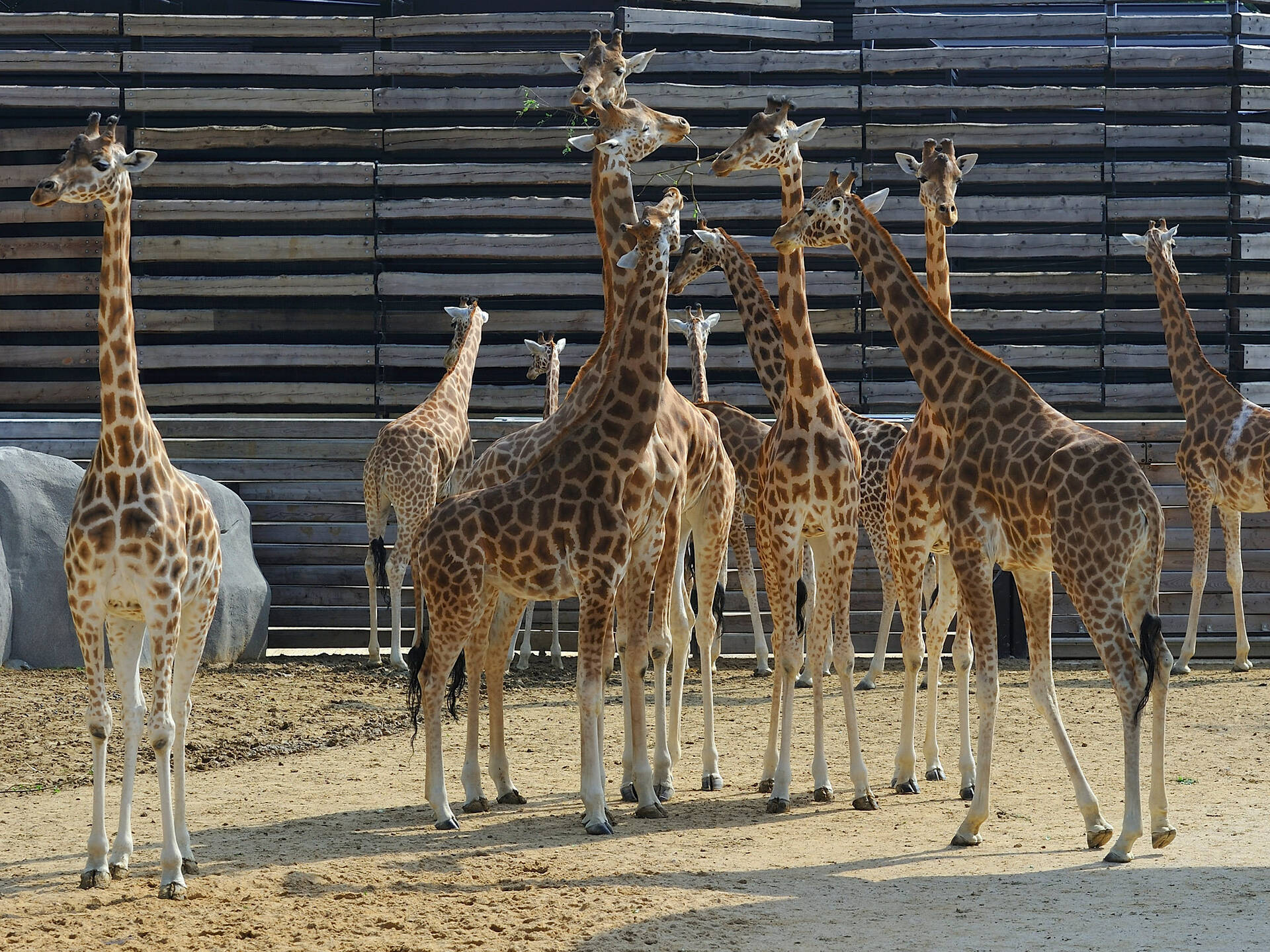 34 Best Things to Do With Kids in Paris Right Now