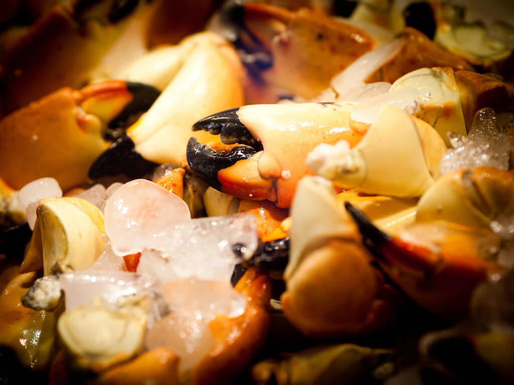 Best Places For Stone Crabs in Miami To Make The Most Of The Season