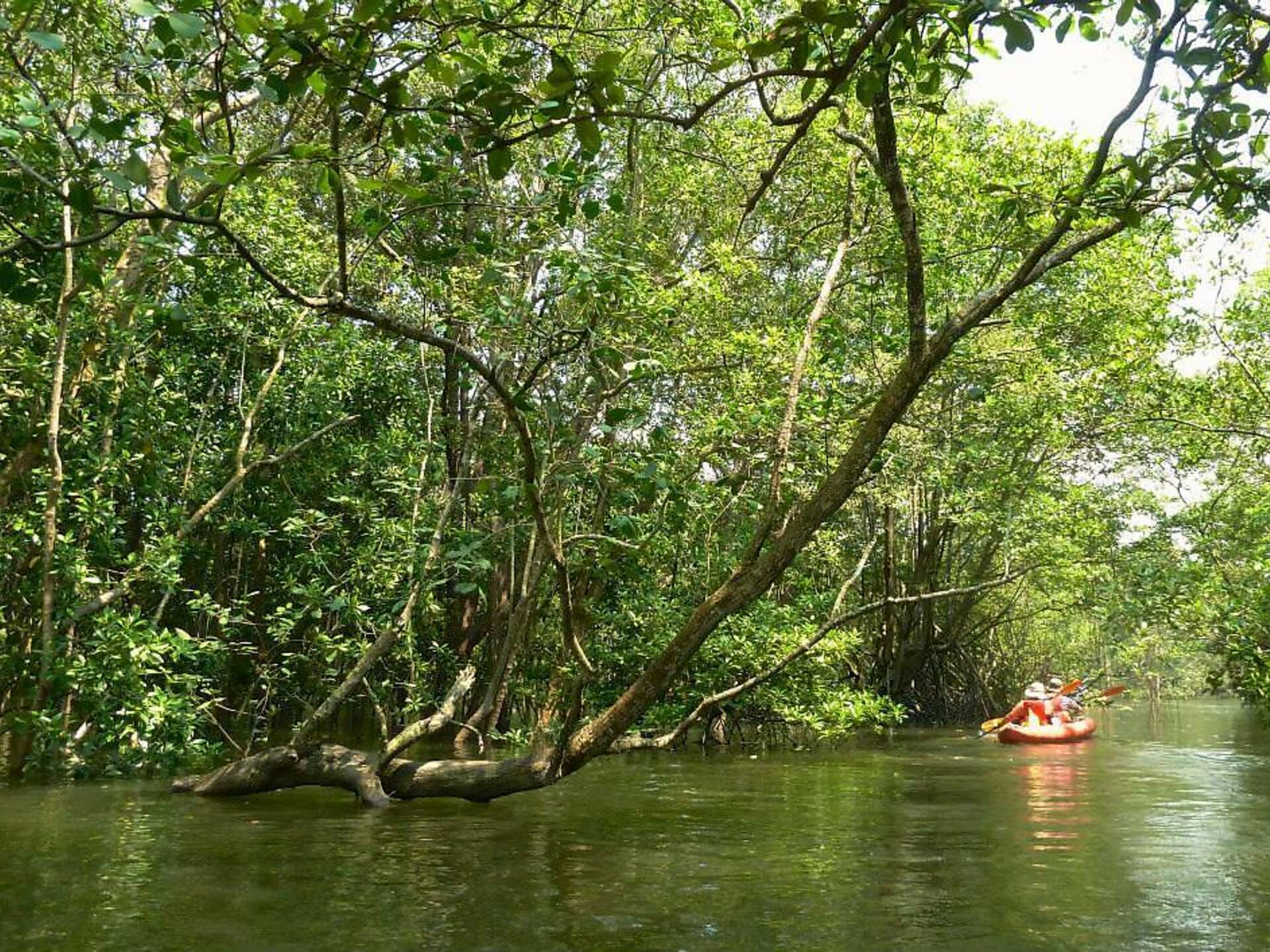 Kampung Life: The Last Villages In Singapore And The Stories Behind Them