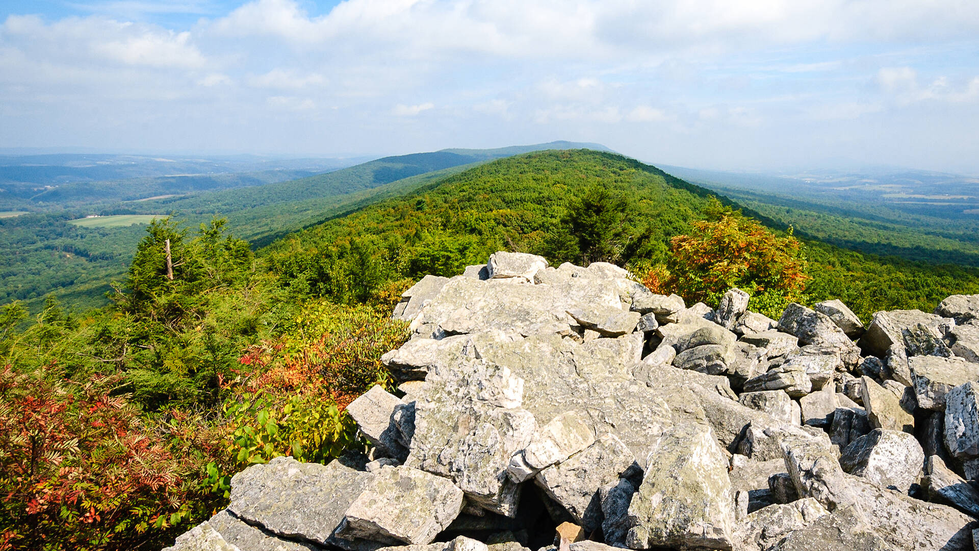 Where to go Hiking Near Philadelphia: 12 Best Local Spots
