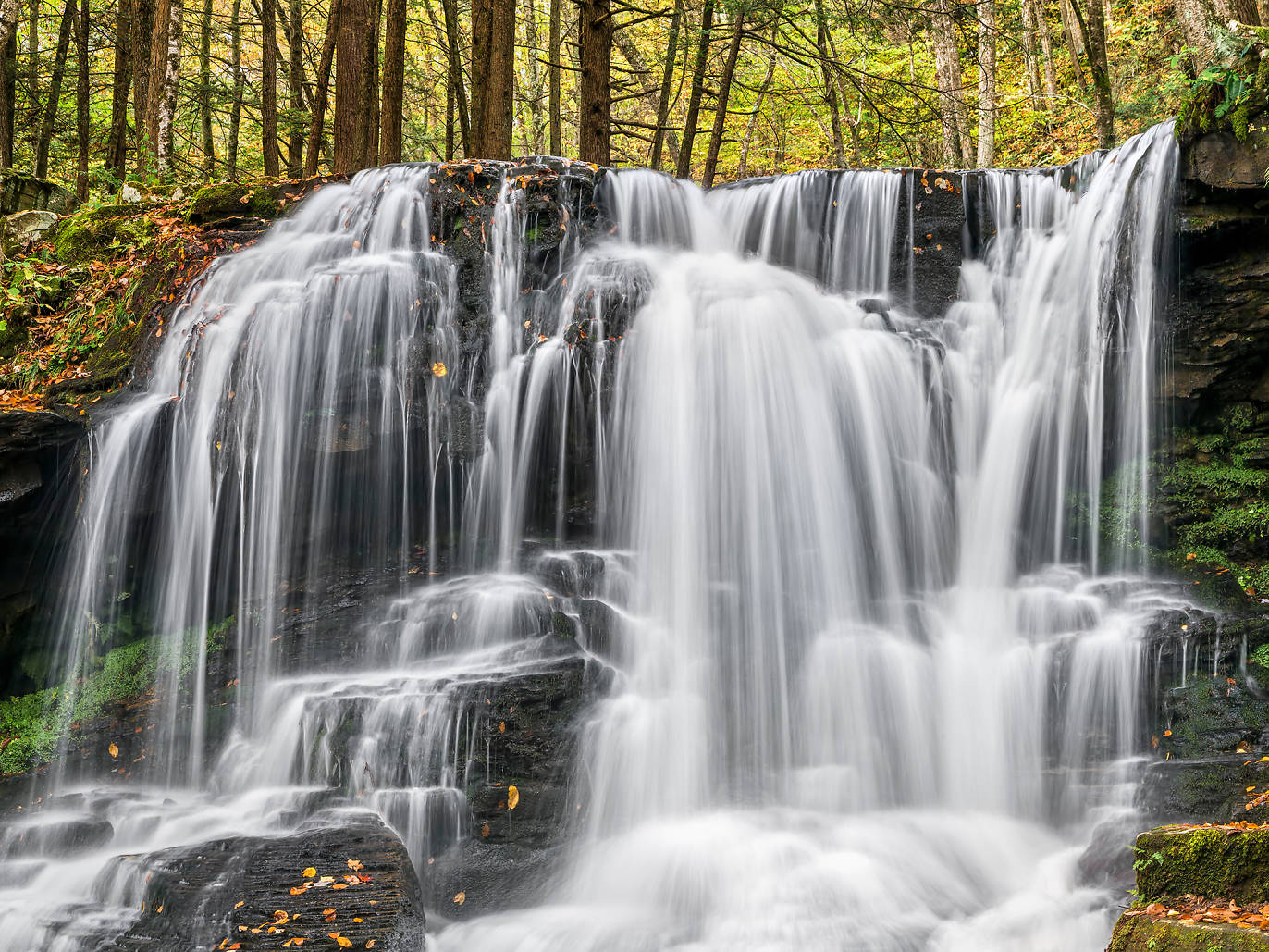 Where to go Hiking Near Philadelphia: 12 Best Local Spots