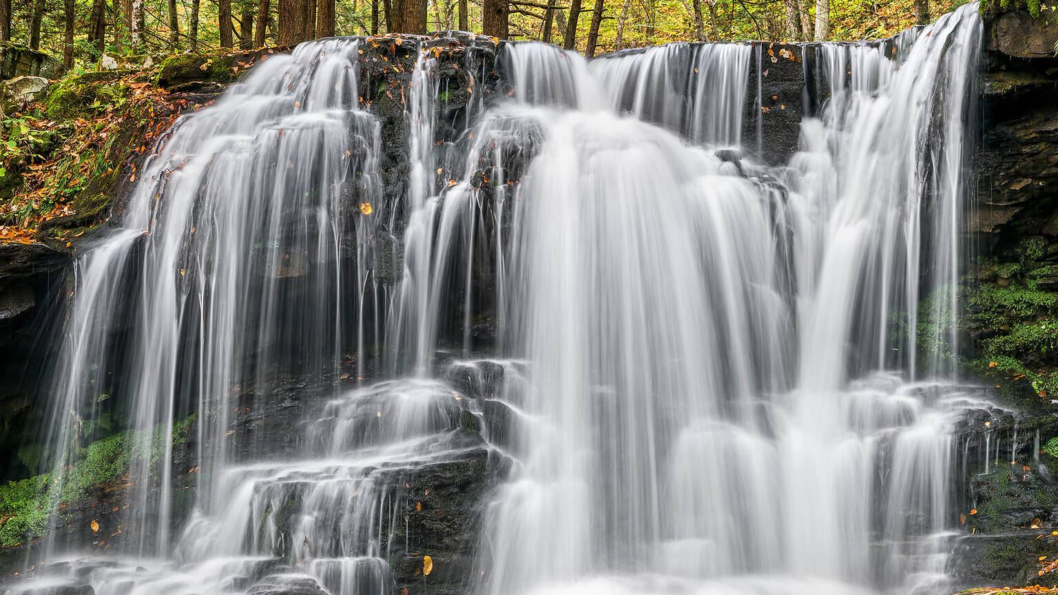 Where to go Hiking Near Philadelphia: 12 Best Local Spots