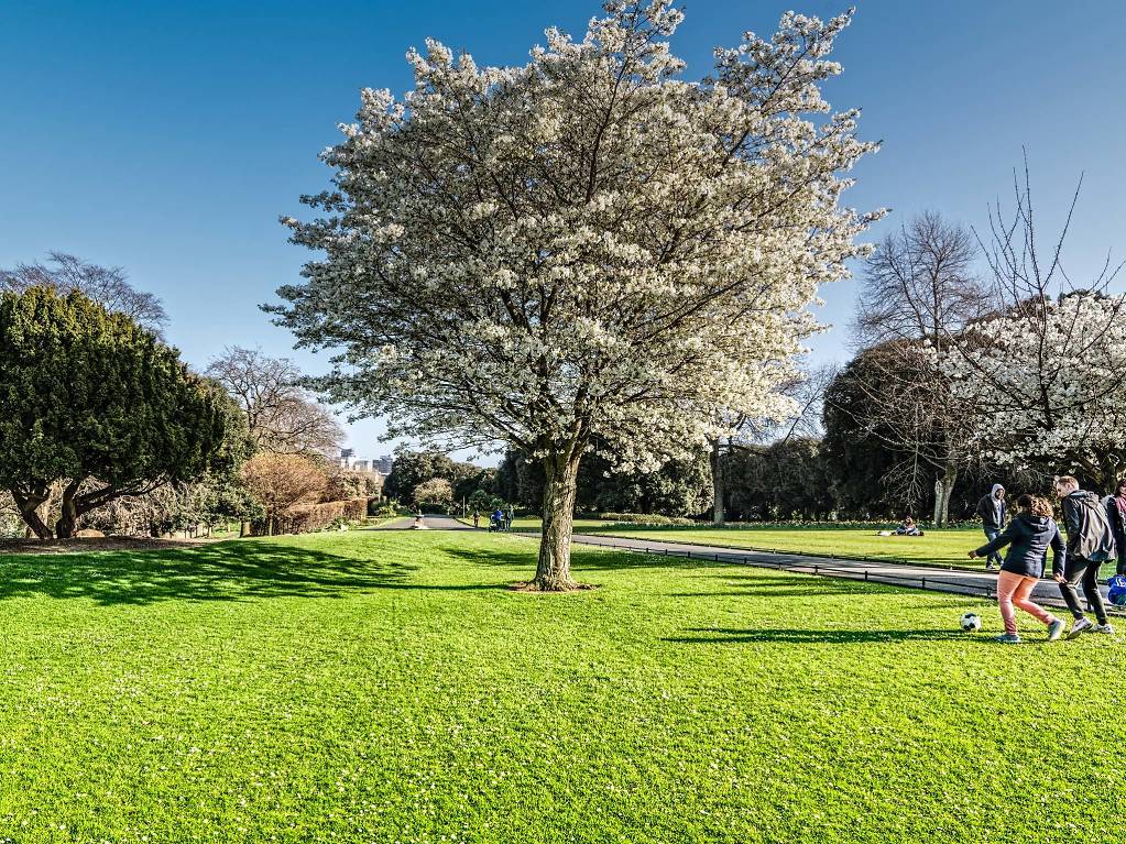 12 Best Parks in Dublin for Sumptuous Serenity
