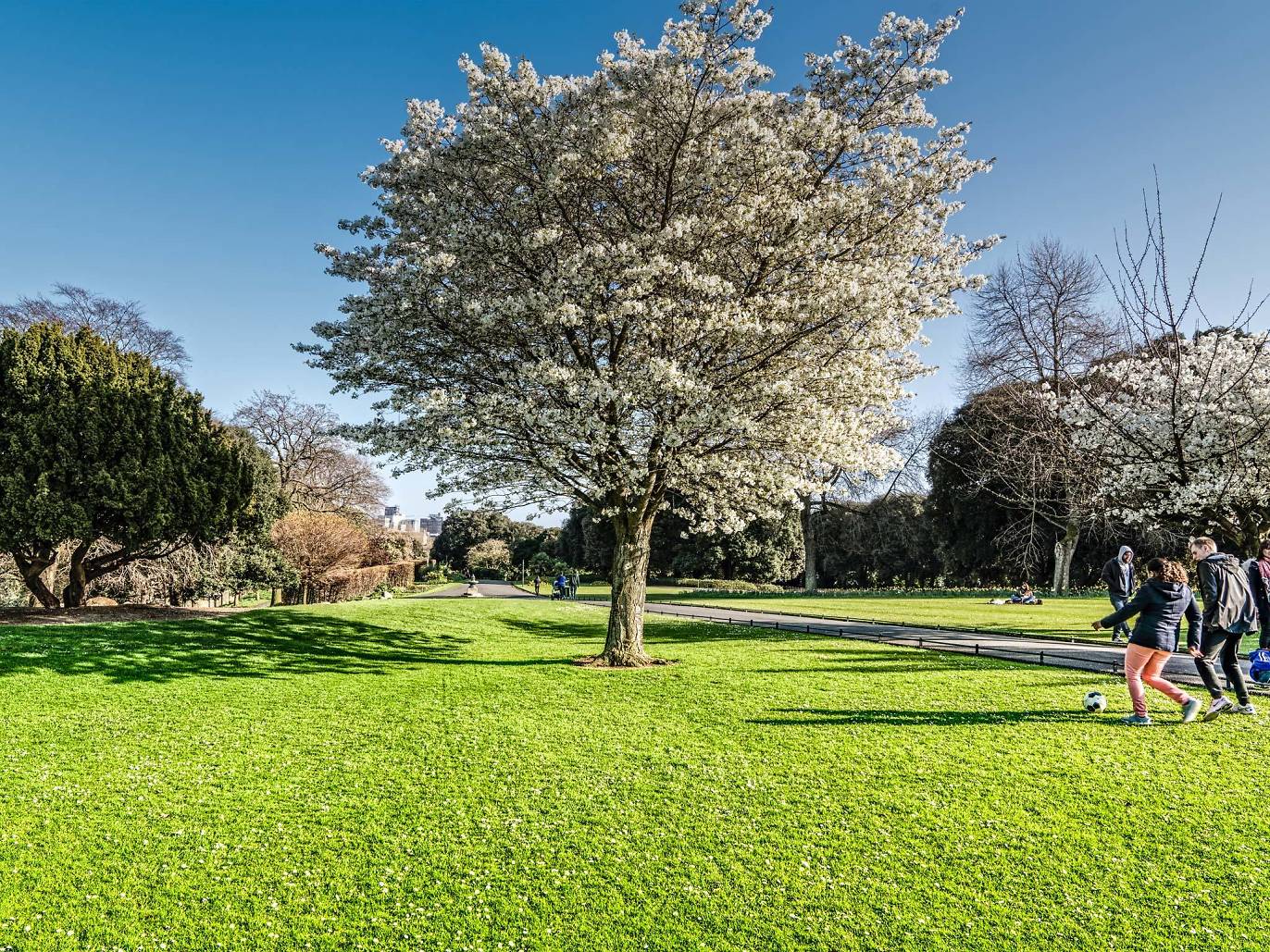 12 Best Parks in Dublin for Sumptuous Serenity