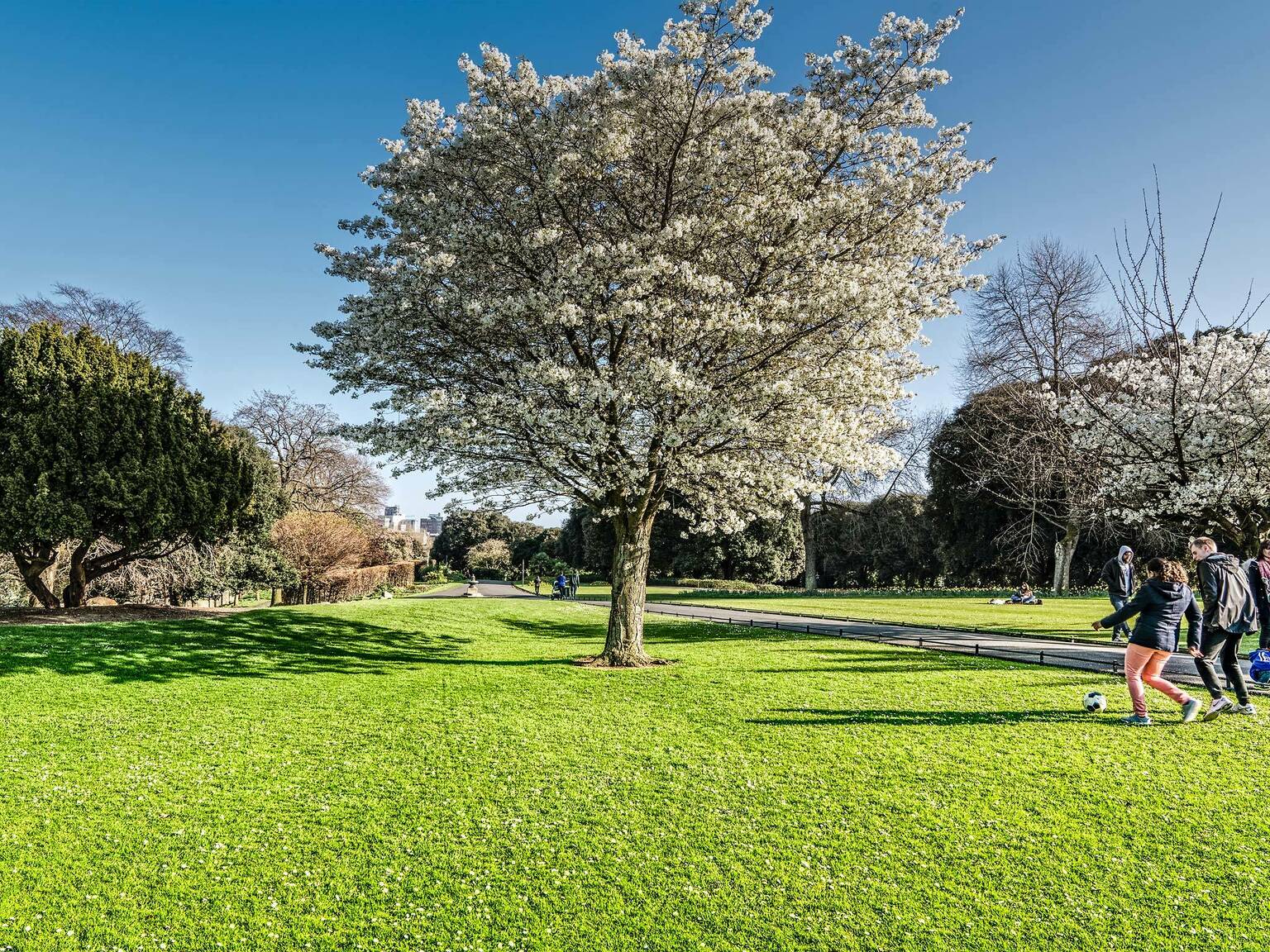 12 Best Parks in Dublin for Sumptuous Serenity
