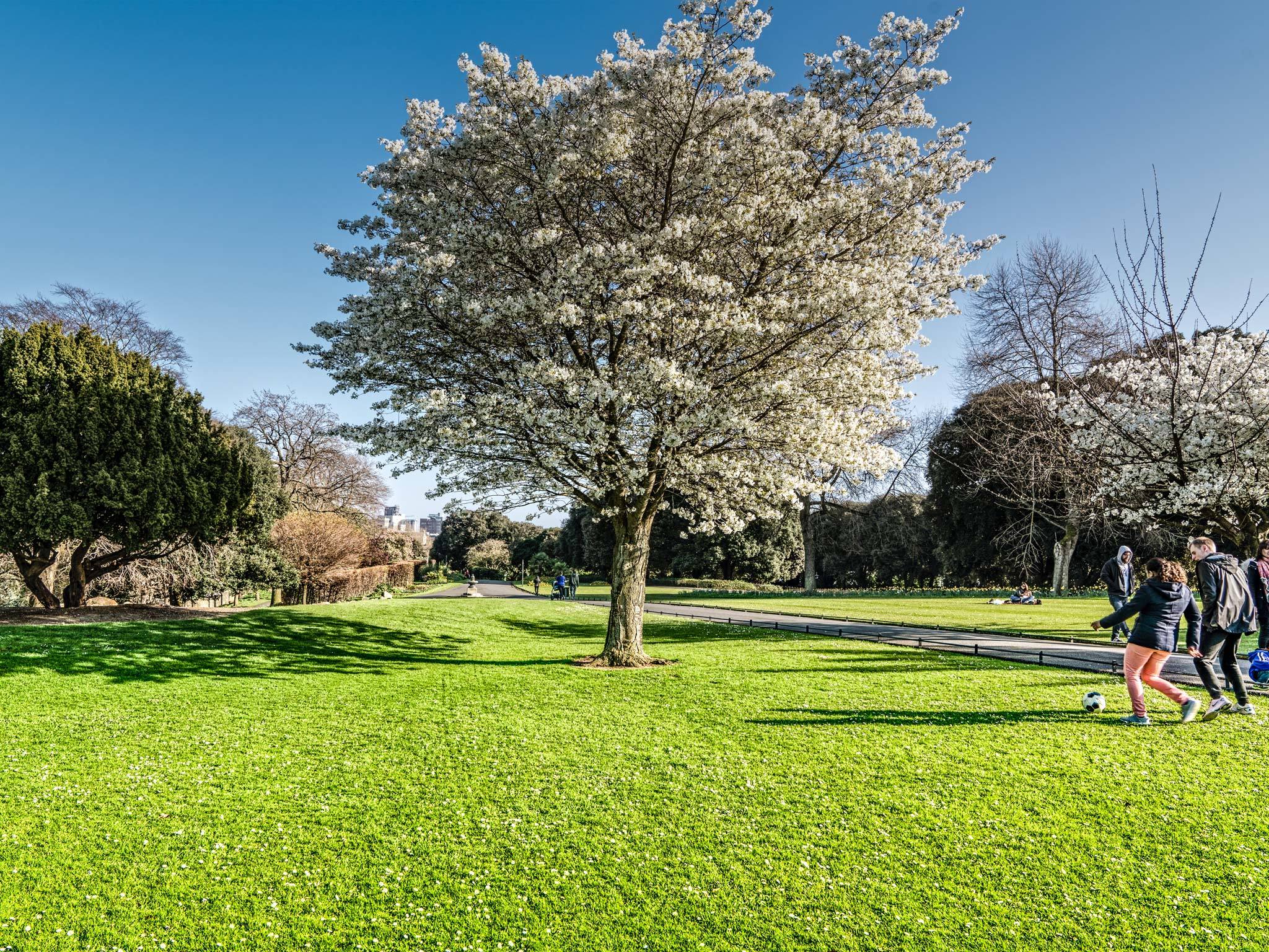 12 Best Parks in Dublin for a Relaxing Stroll