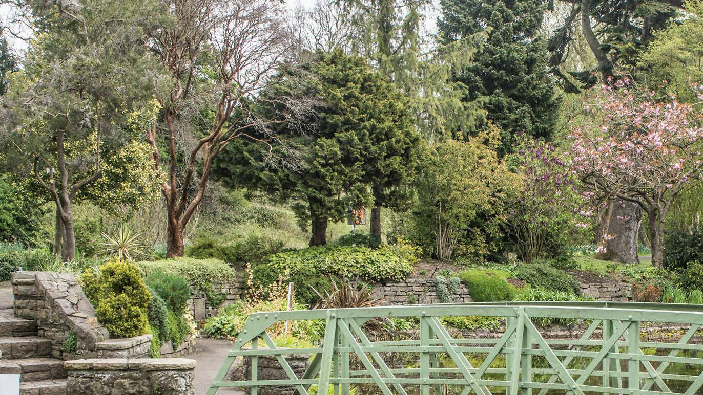 12 Best Parks in Dublin for Sumptuous Serenity