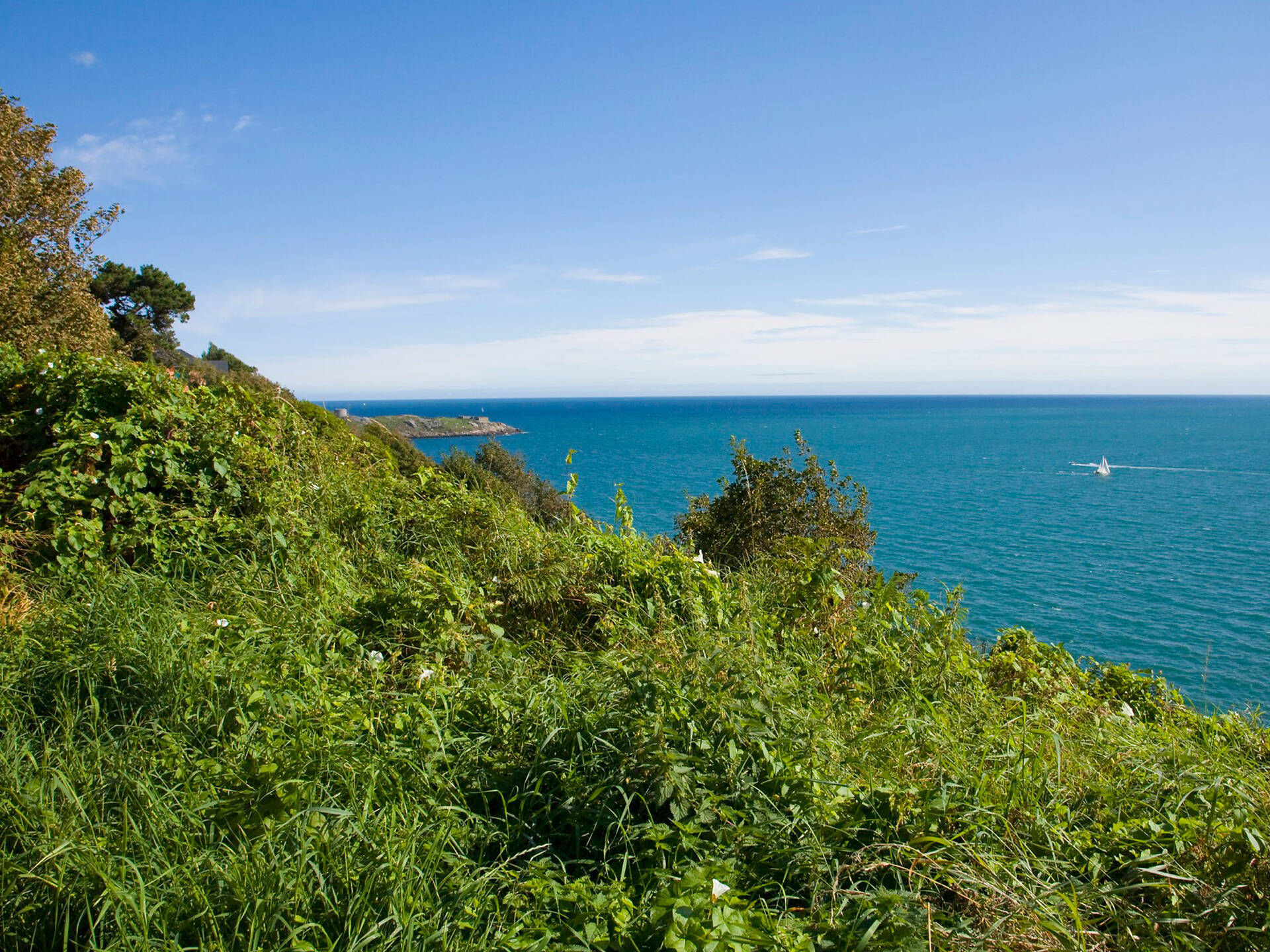 12 Best Parks in Dublin for Sumptuous Serenity