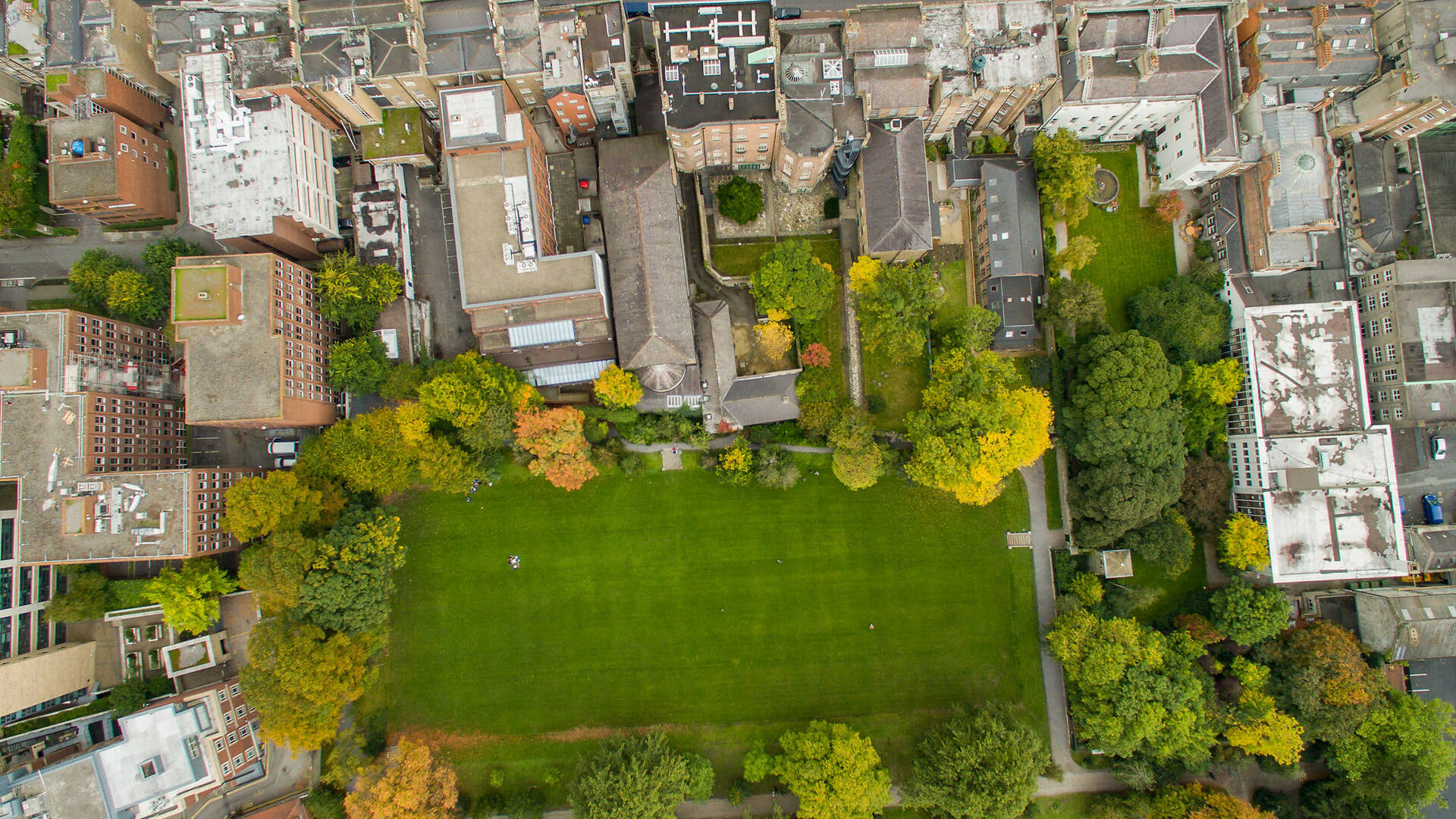 12 Best Parks in Dublin for Sumptuous Serenity