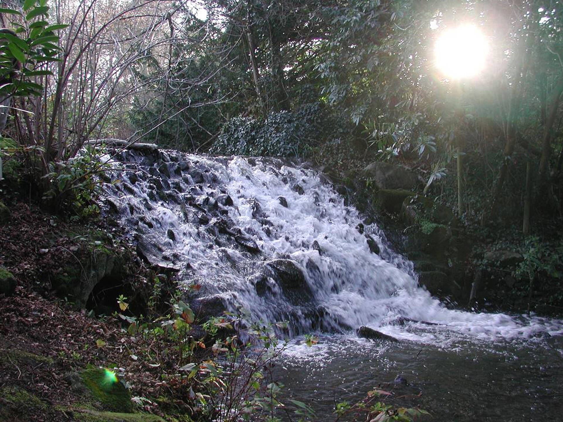 12 Best Parks in Dublin for Sumptuous Serenity