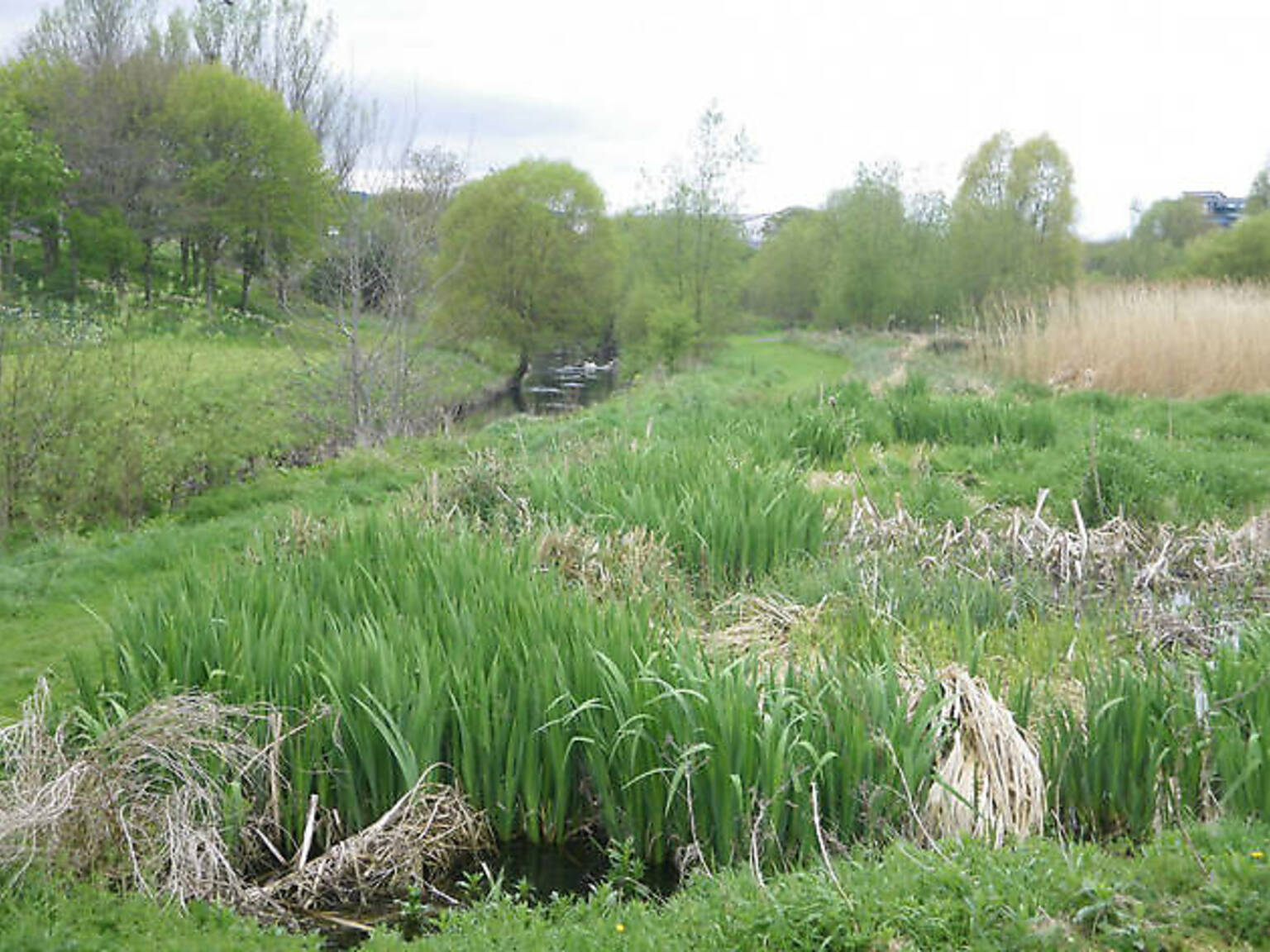 12 Best Parks in Dublin for Sumptuous Serenity