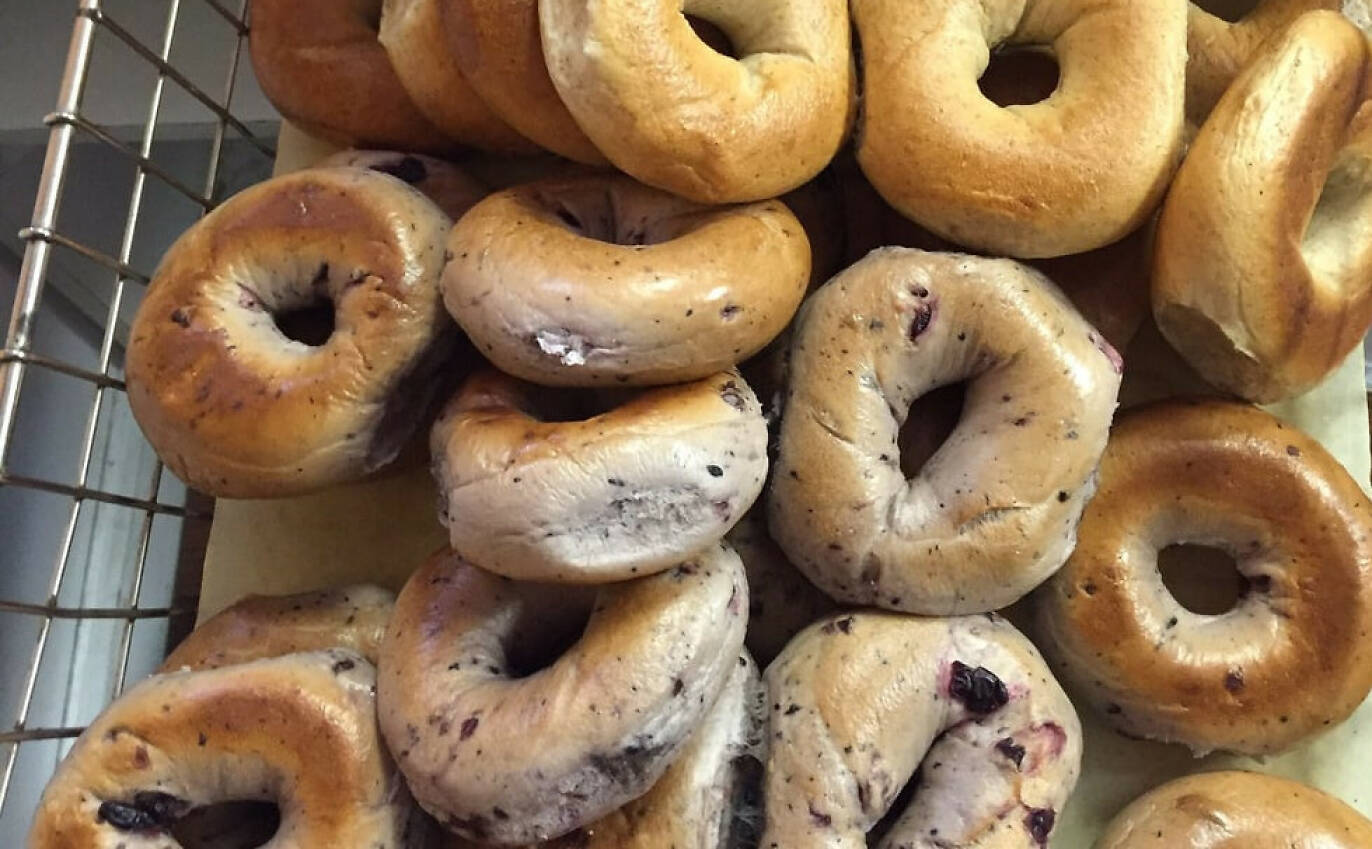 Best Bagels in Boston: 11 Destinations for Picture-Perfect Bagels