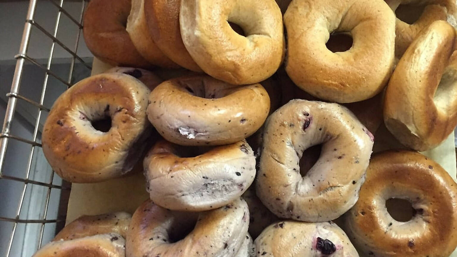 Best Bagels in Boston: 11 Destinations for Picture-Perfect Bagels