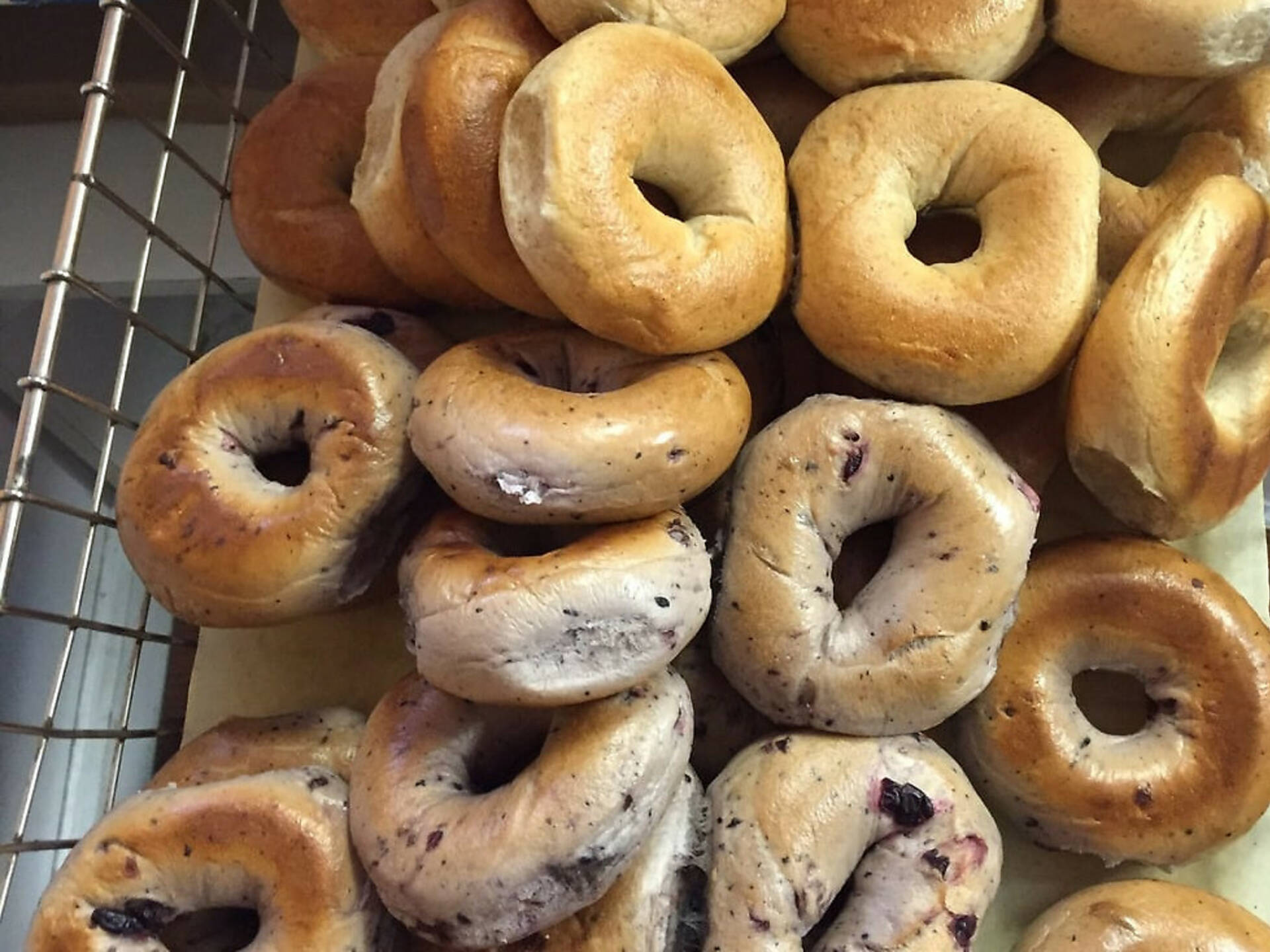 Best Bagels in Boston: 11 Destinations for Picture-Perfect Bagels