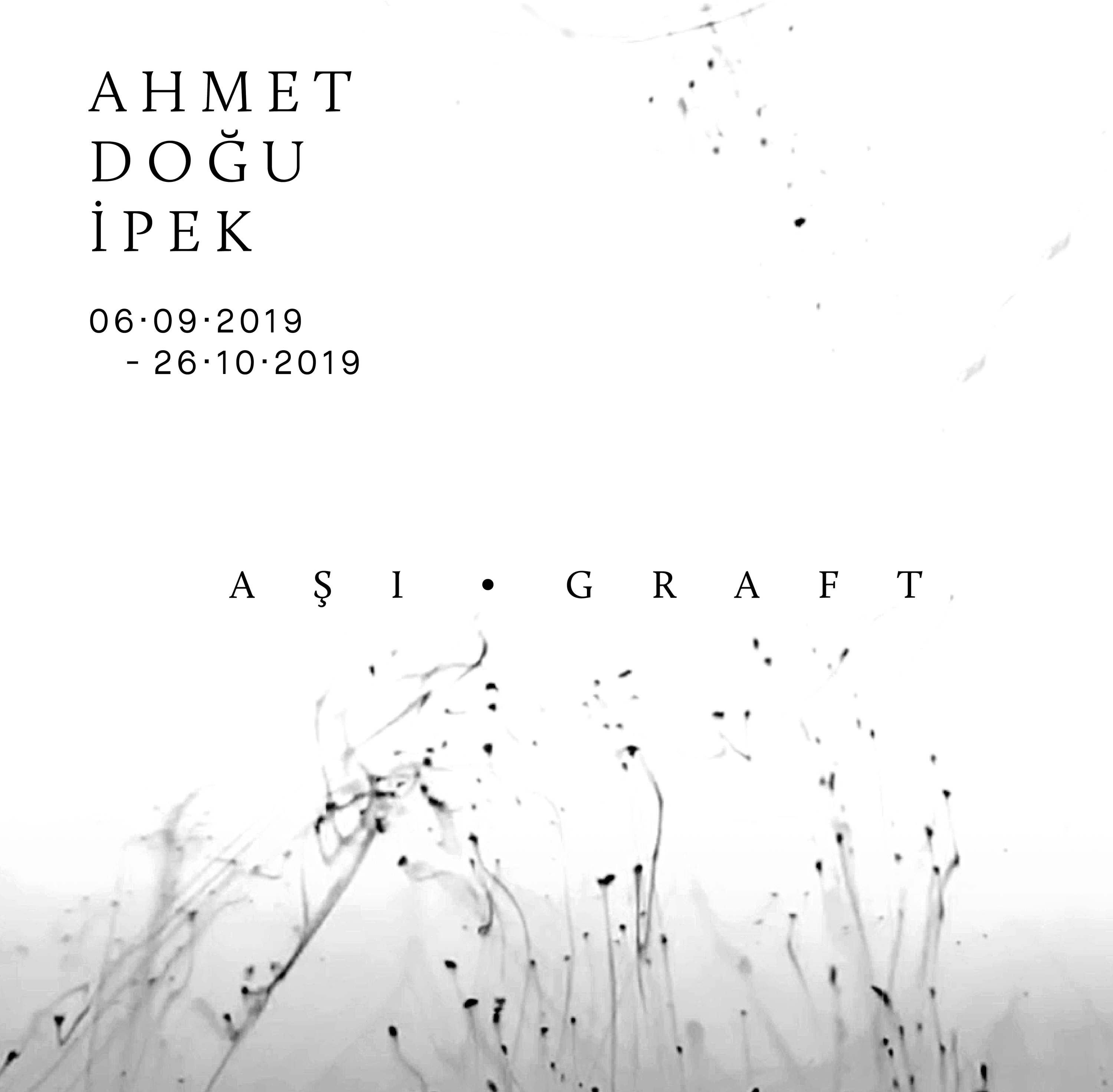 Graft | Art in Istanbul