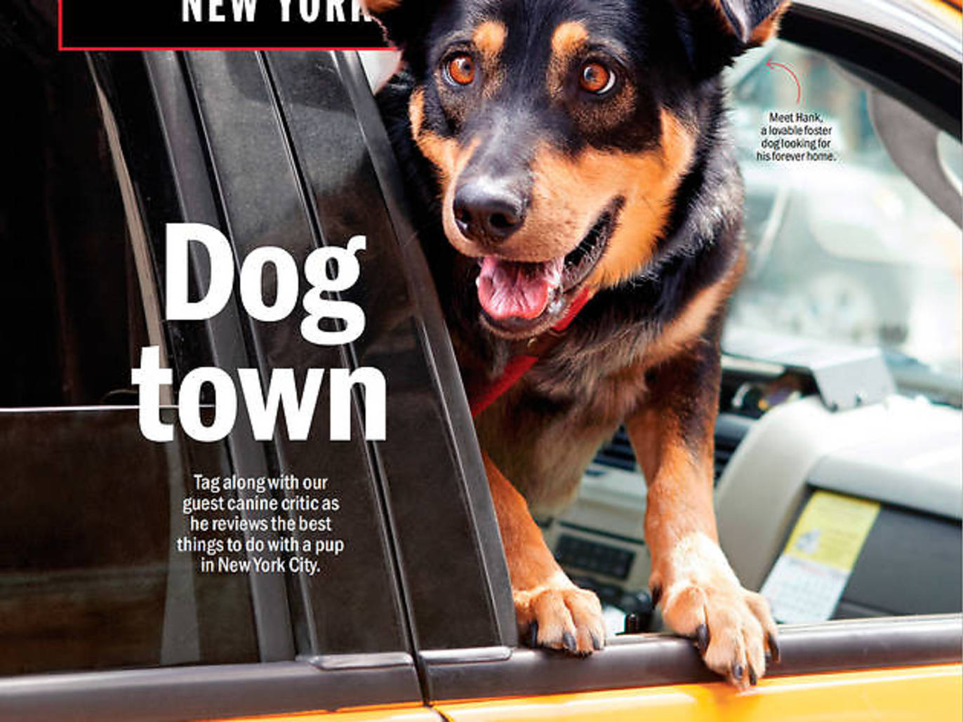 Time Out New York digital editions