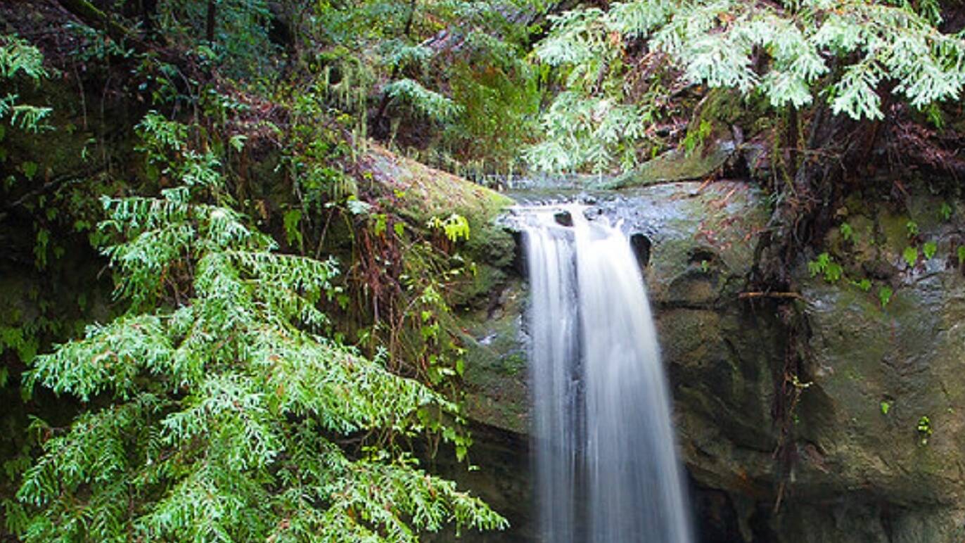 The 13 Best Places to See California Redwoods Up Close