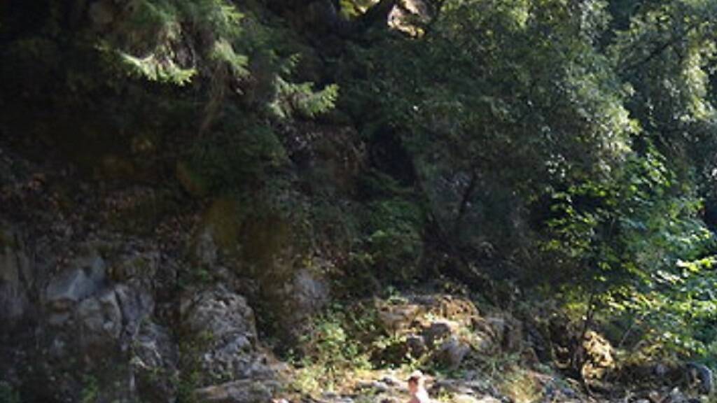 The 13 Best Places to See California Redwoods Up Close