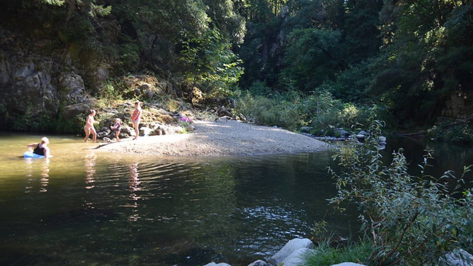 The 13 Best Places to See California Redwoods Up Close