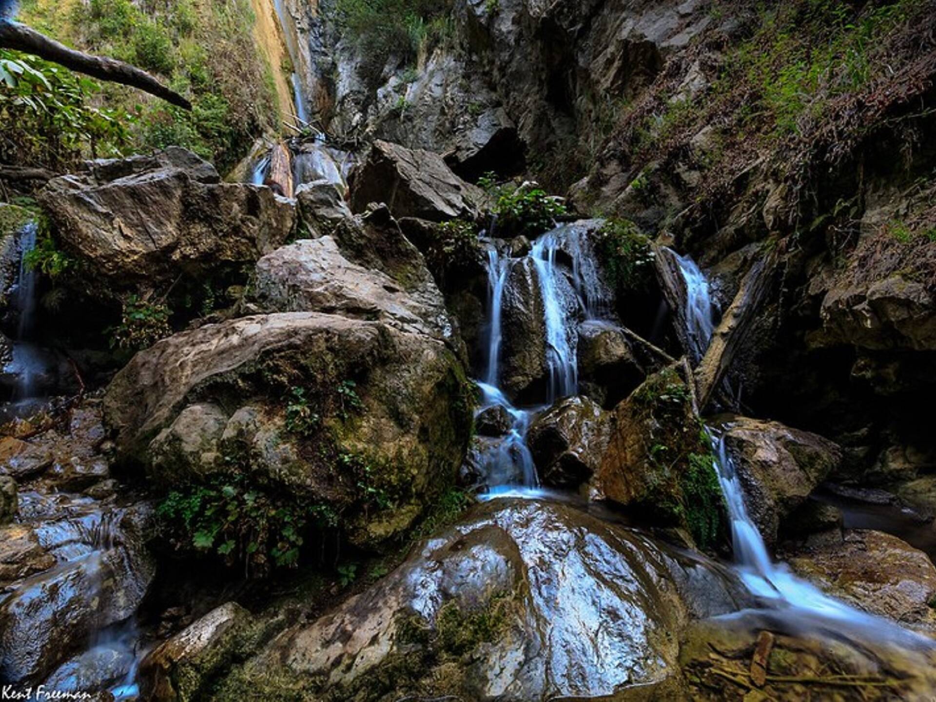 The 13 Best Places to See California Redwoods Up Close