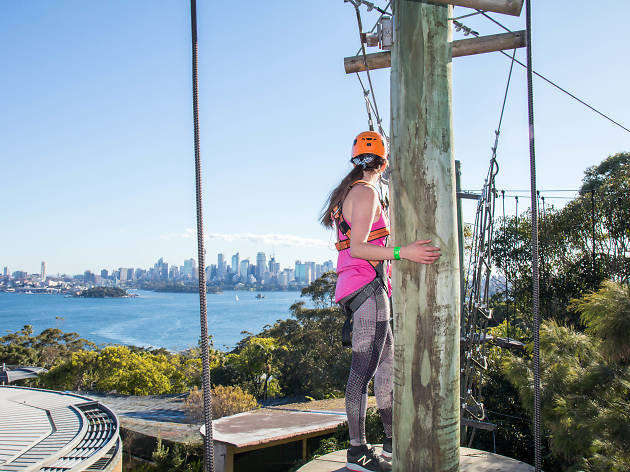 The 3 best high ropes courses in Sydney