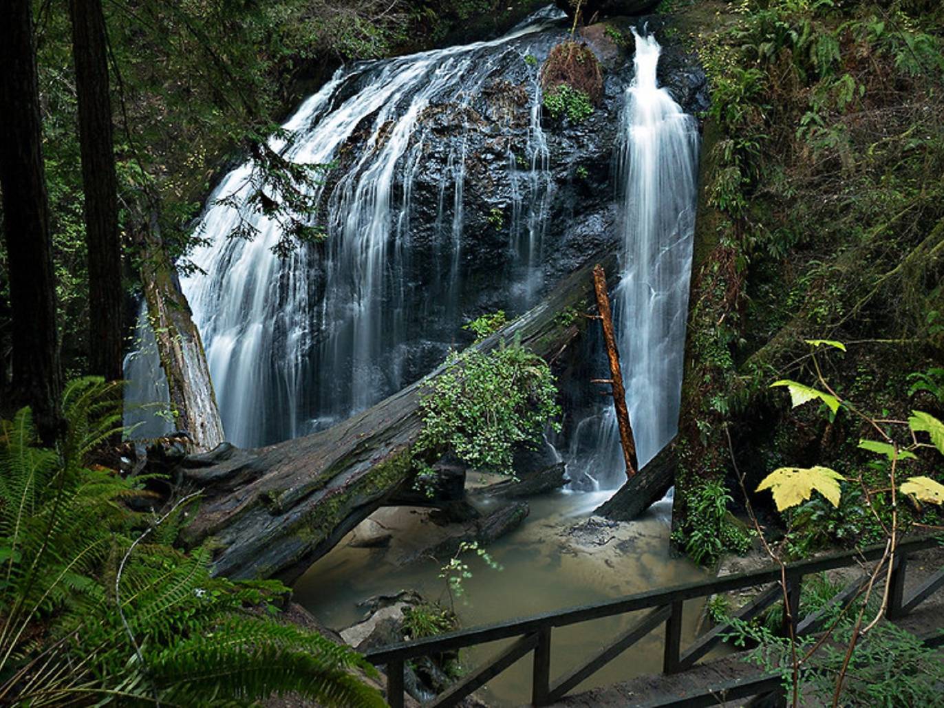 15 Best California State Parks to See Before You Die