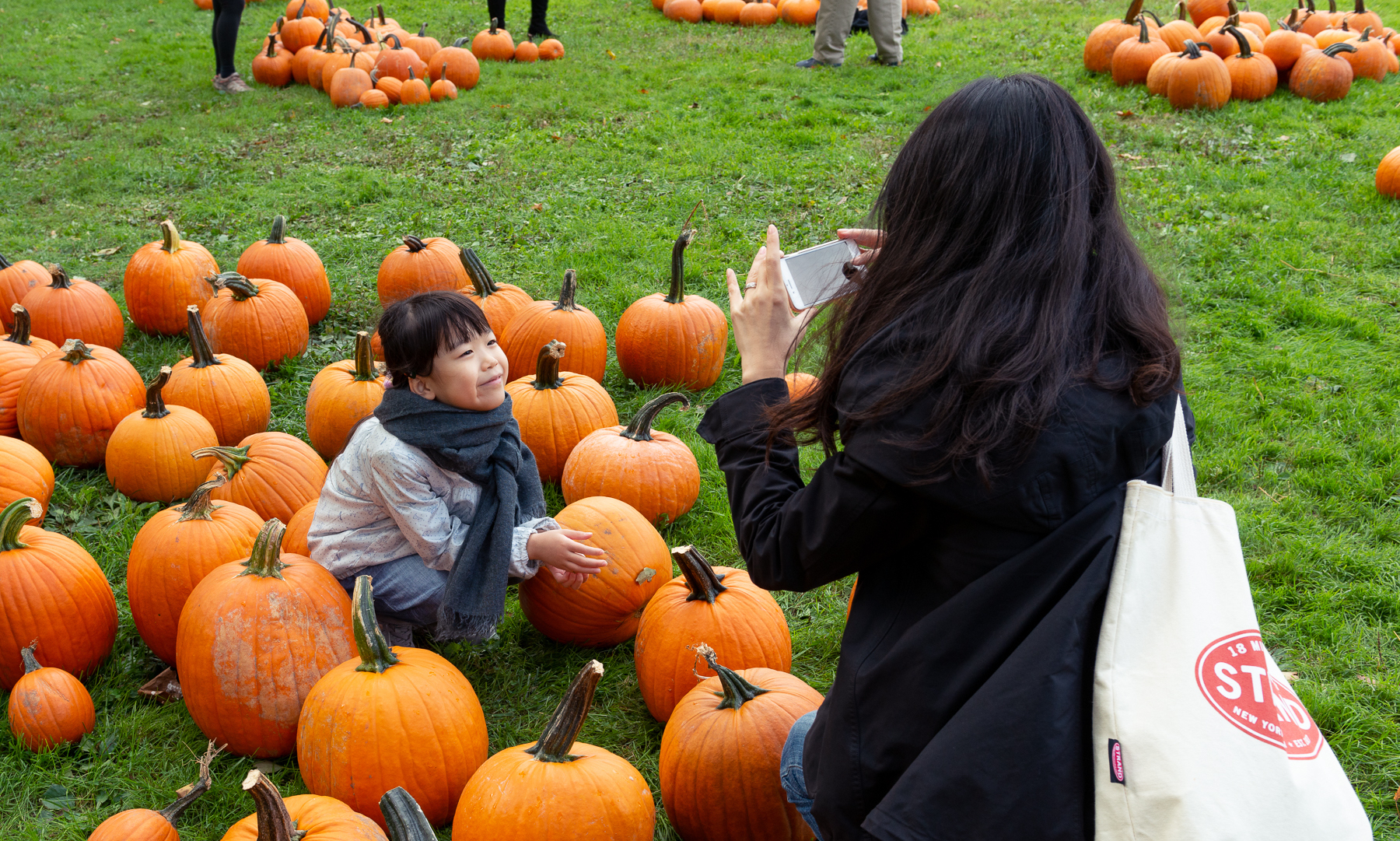 Pumpkin Point | Things to do in New York Kids