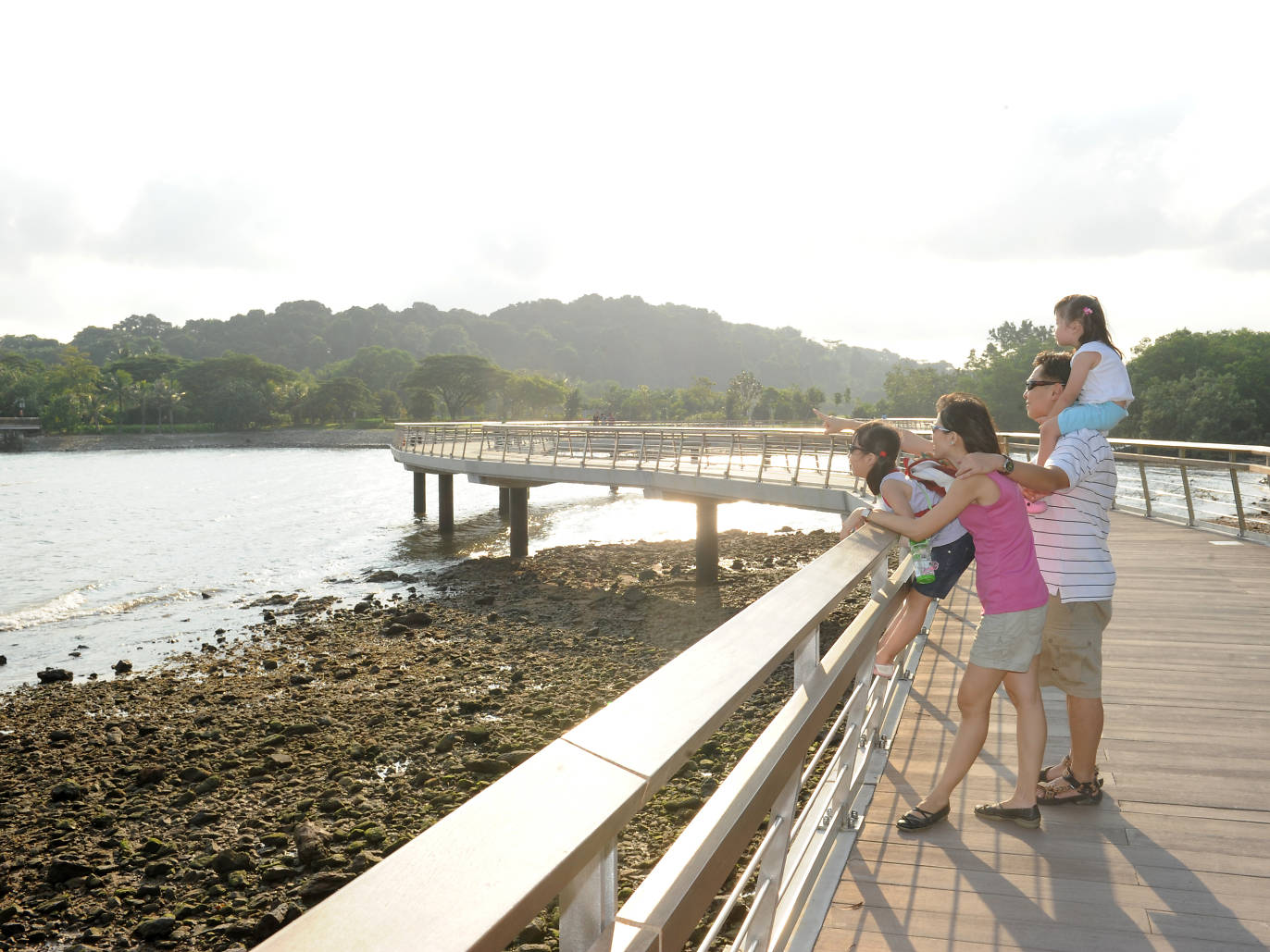 22 Best Nature Trails In Singapore | Nature Walks