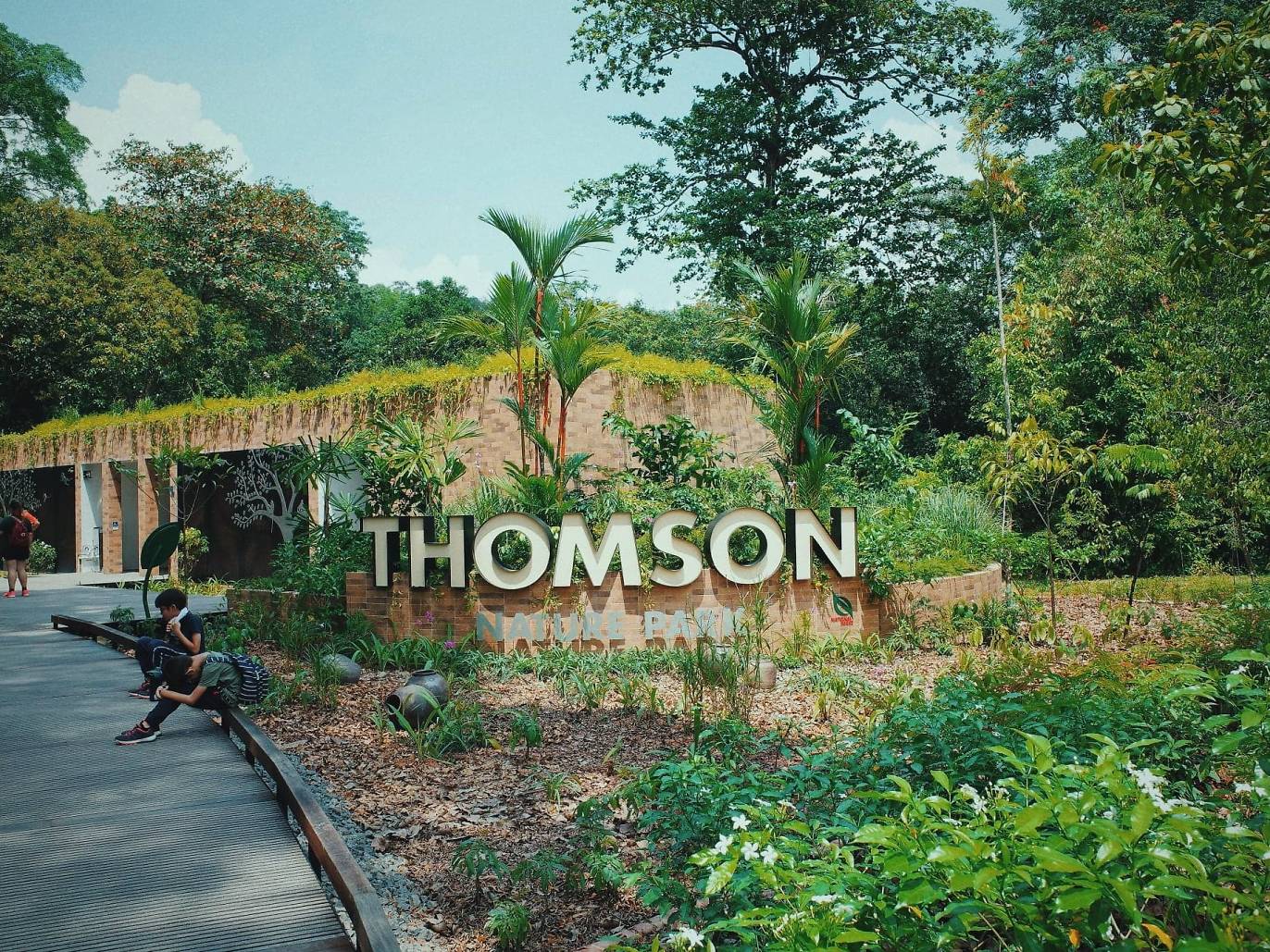 Hiking in Singapore: 18 Amazing Walking Trails For Trekkers To Try