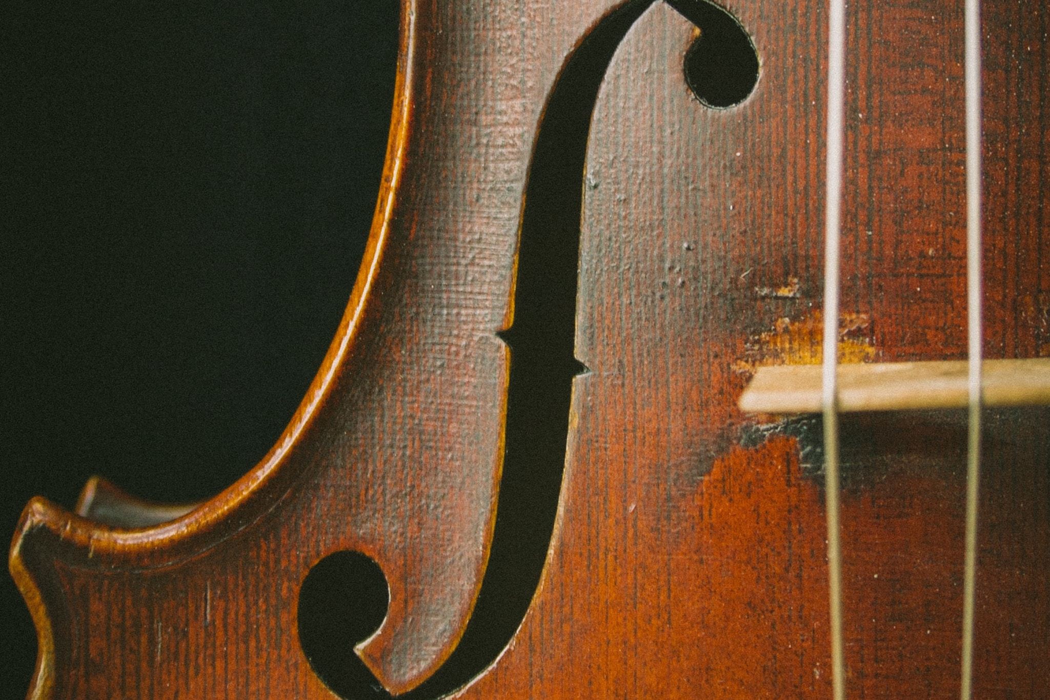 Viola Visions: New Classic Viola | Things to do in Miami