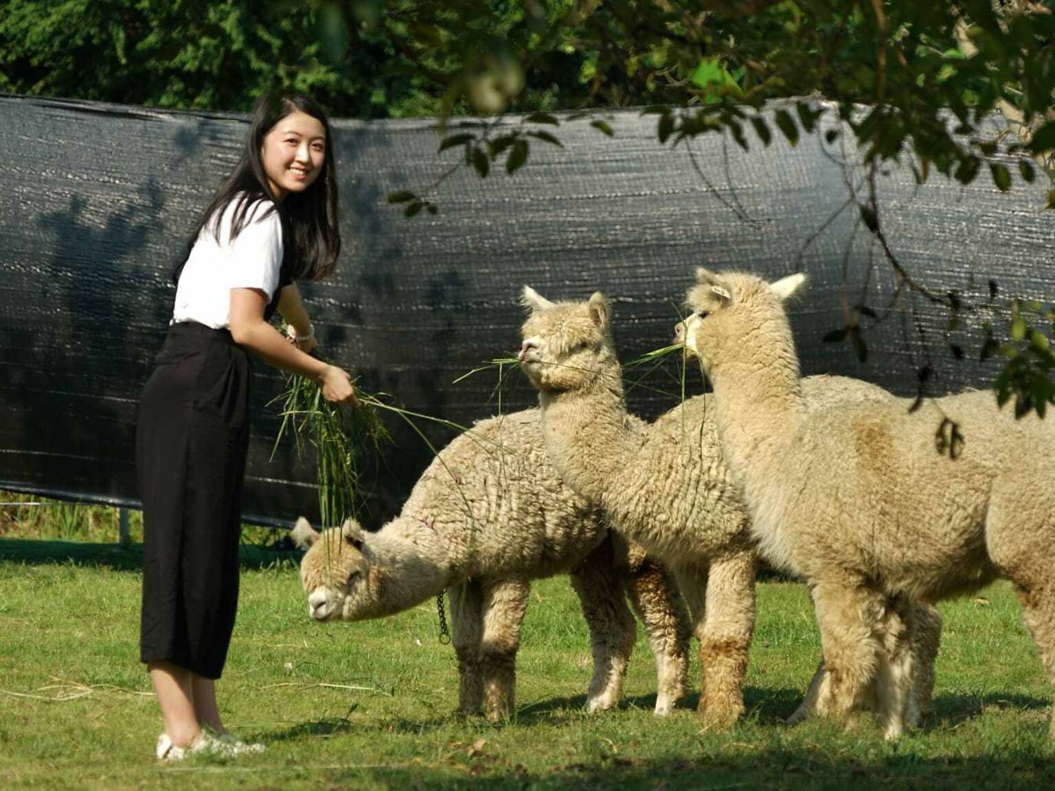 6 best local farms in Hong Kong for peace and quiet