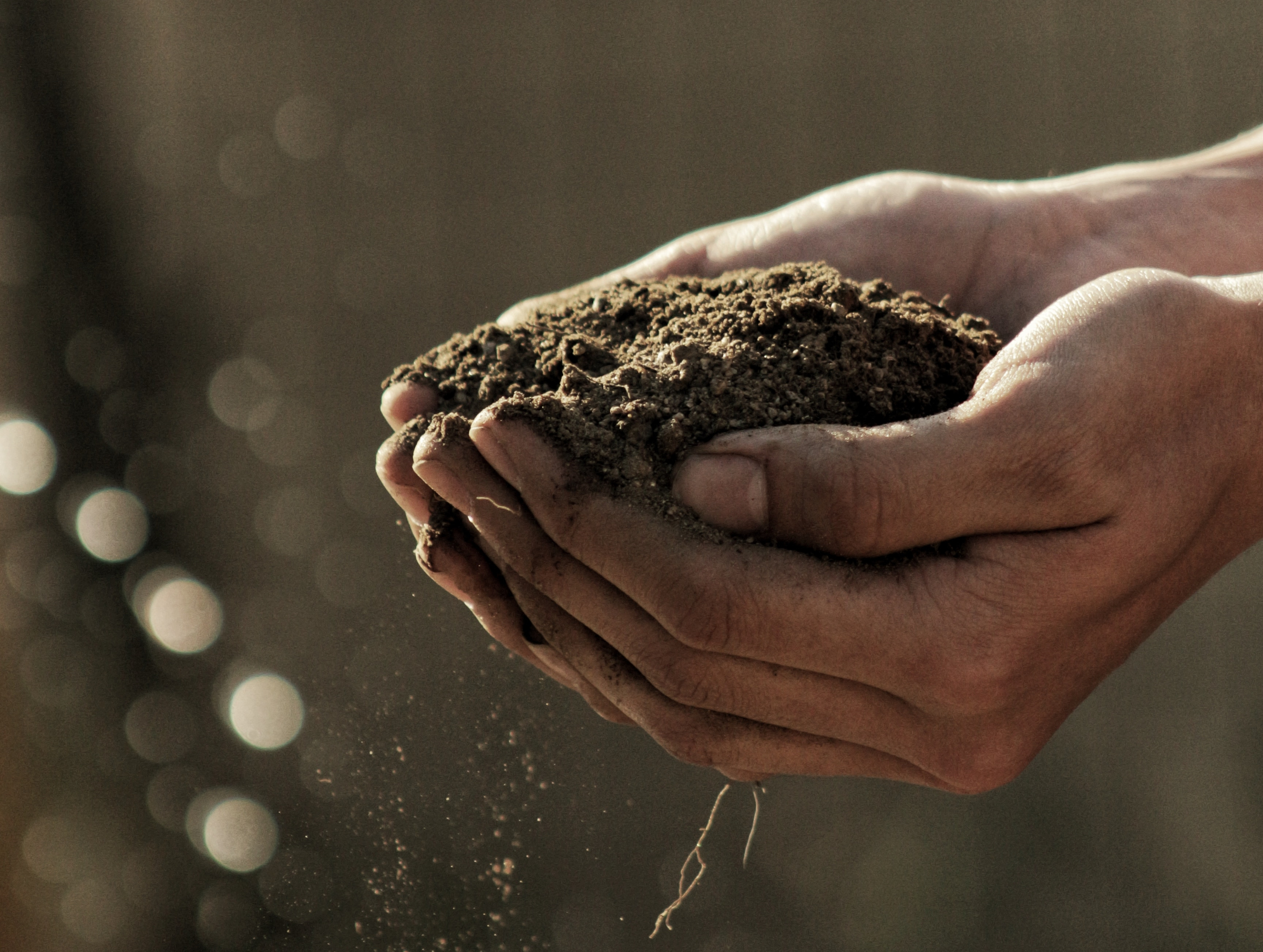 Unearthed Live Show | Things to do in Hong Kong